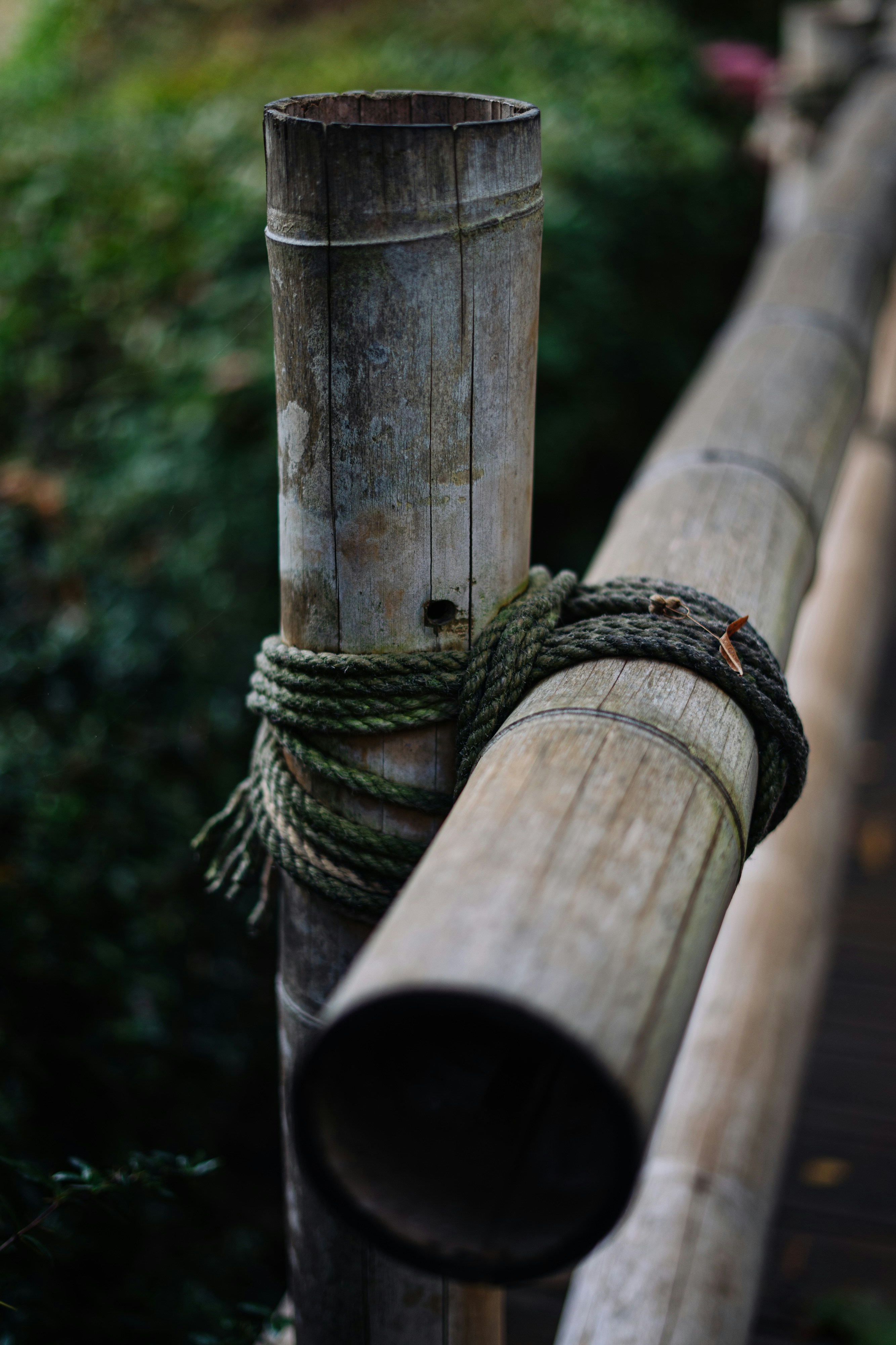 Photo by Robert | Visual Diary | Berlin with Sony Alpha 7