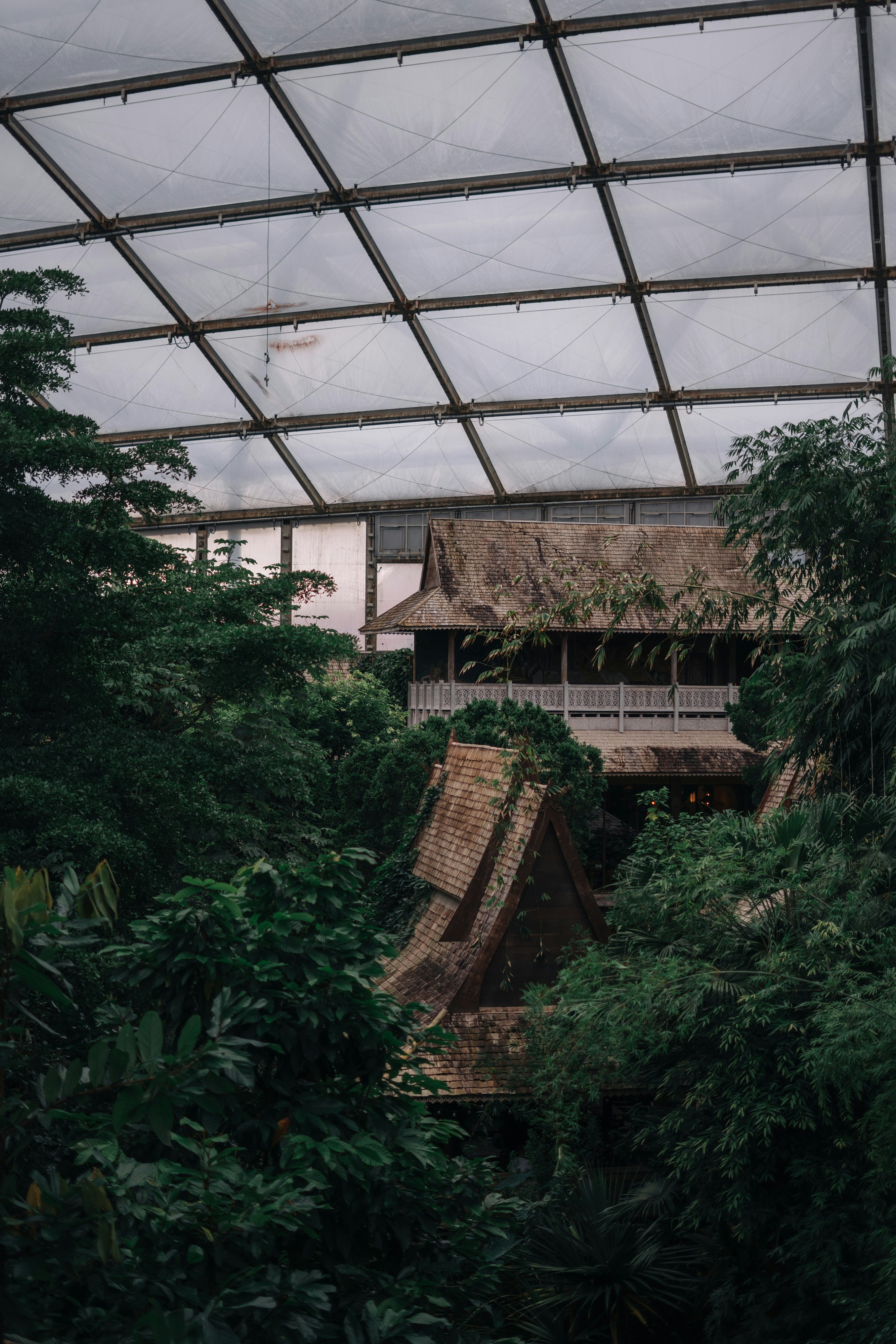 Glassed Conservatory Overhang Framing a Tranquil Jungle Atrium