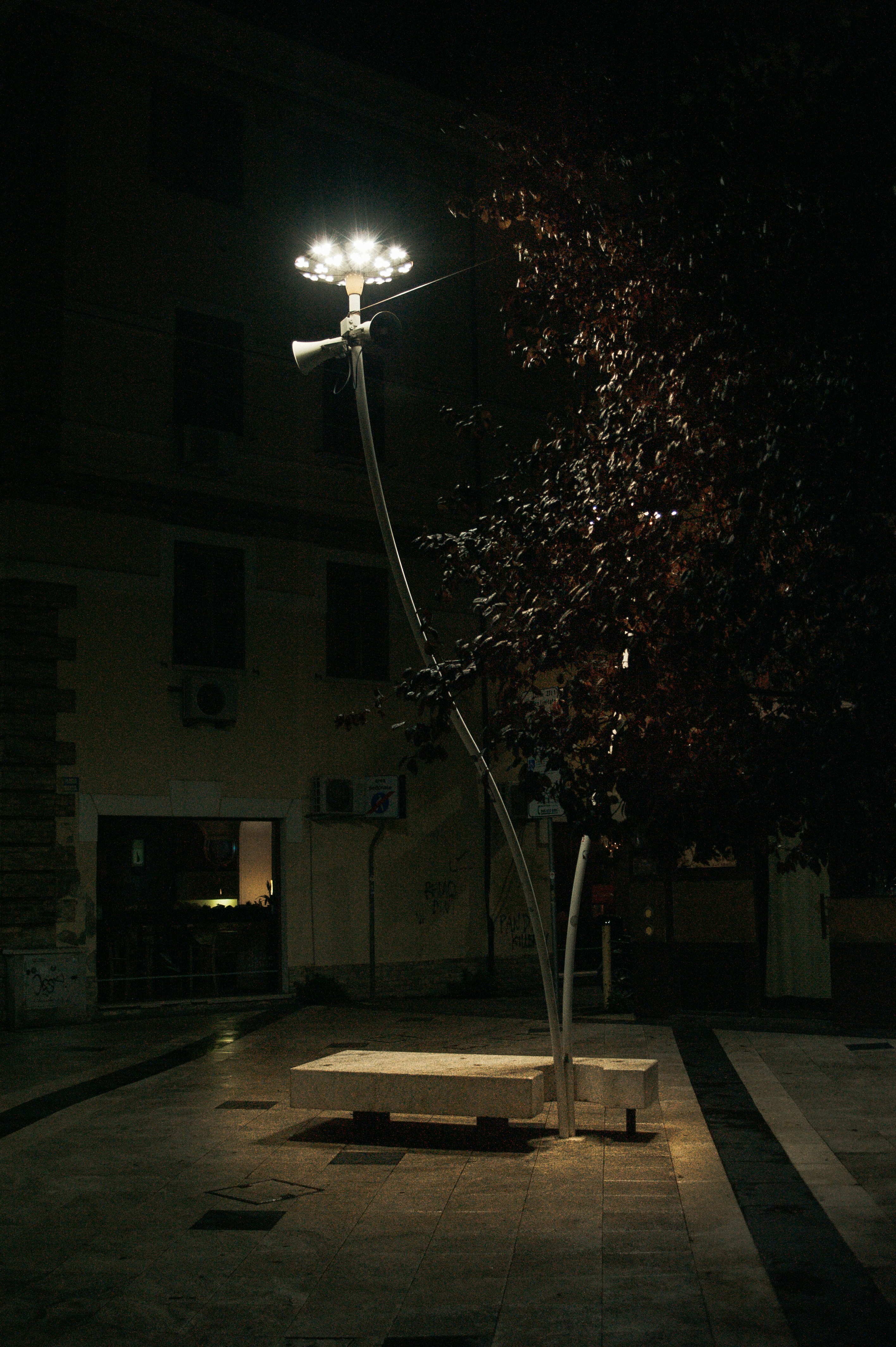 Whispers of Light in the Night