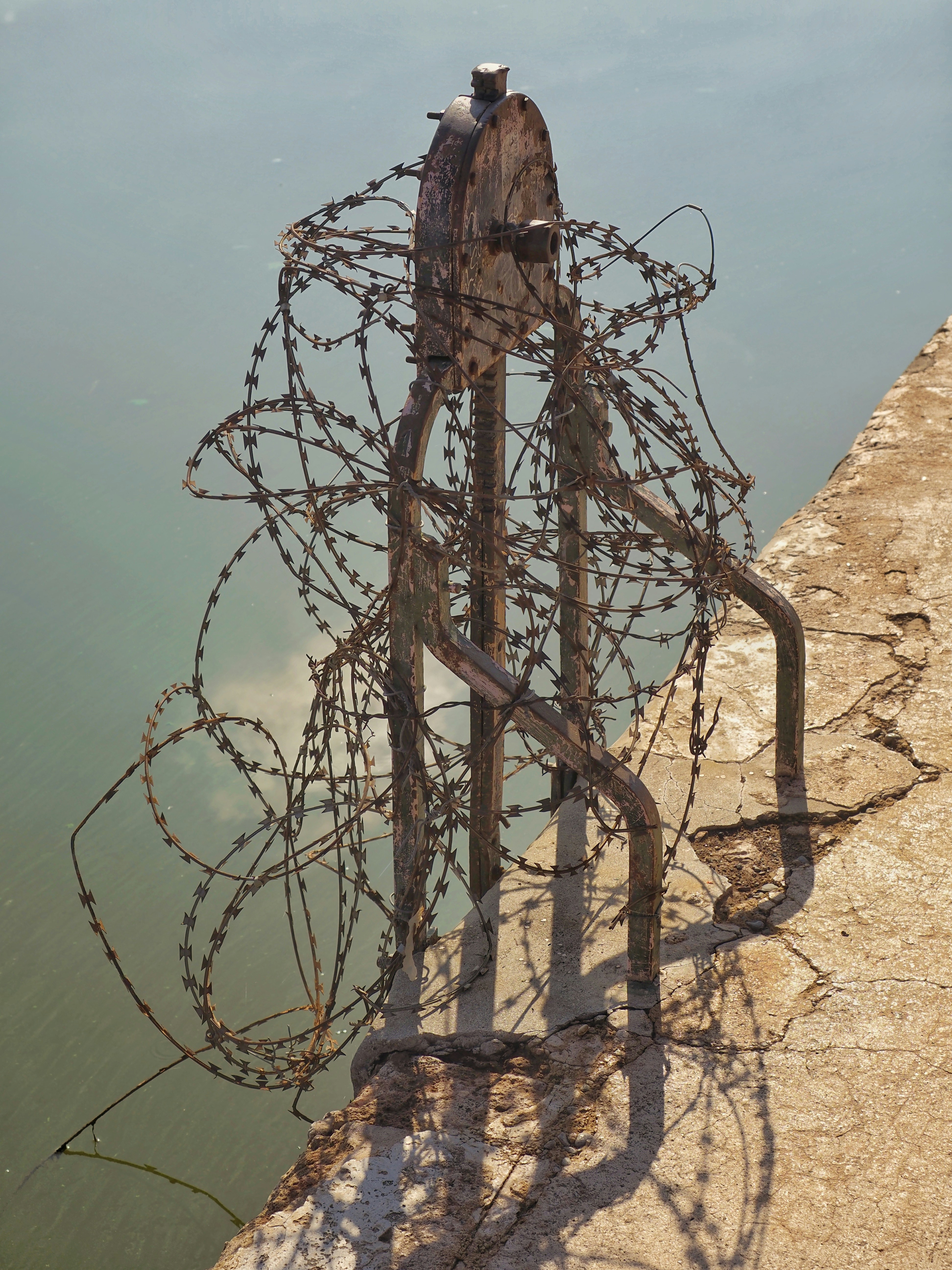 Harbor Sentinel: A Rusted Post Entwined in Barbed Coils at the Water's Edge
