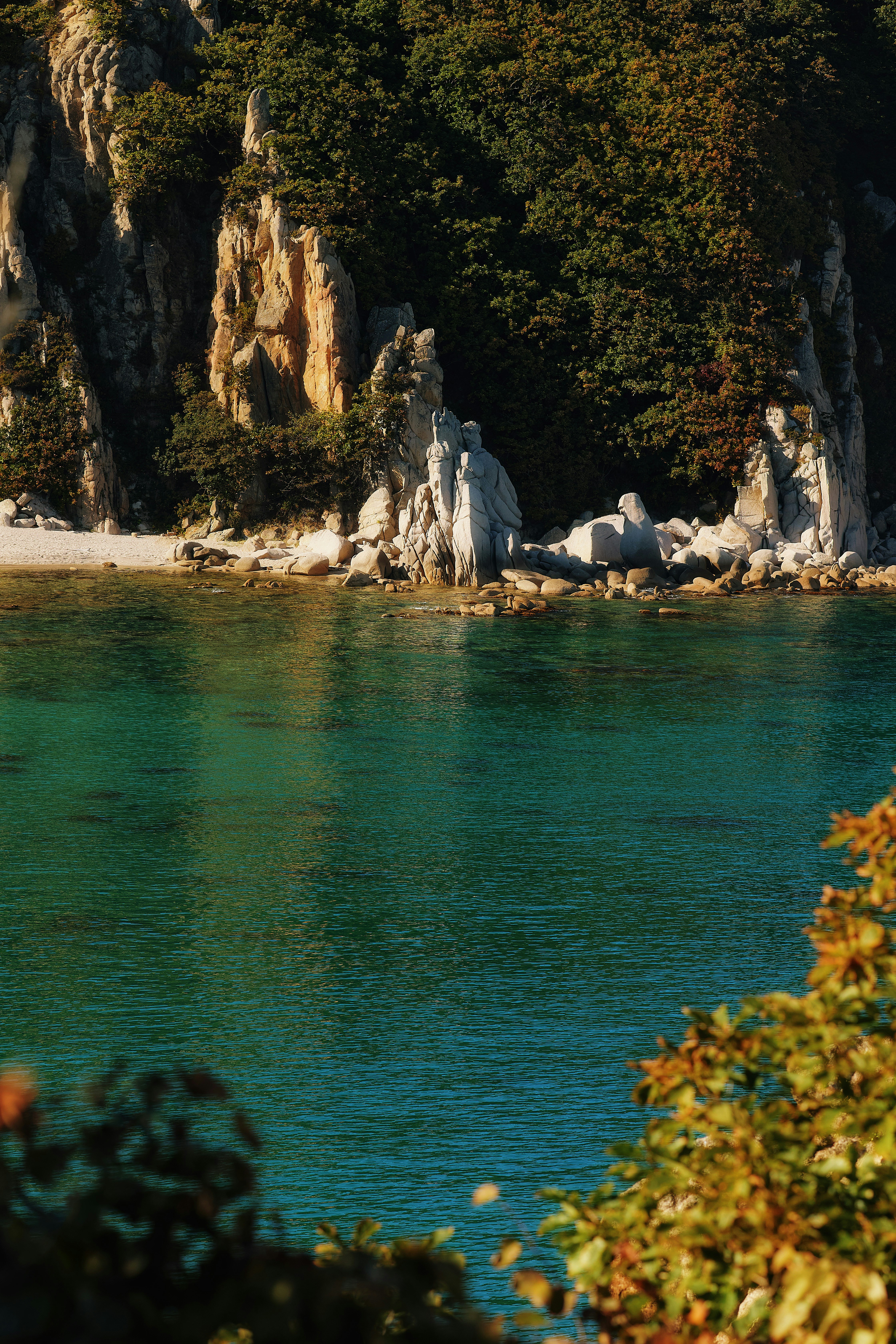 Turquoise water licks a rocky shoreline backed by dense, tree-covered cliffs. White seastacks rise from the shore, framed by foreground foliage.