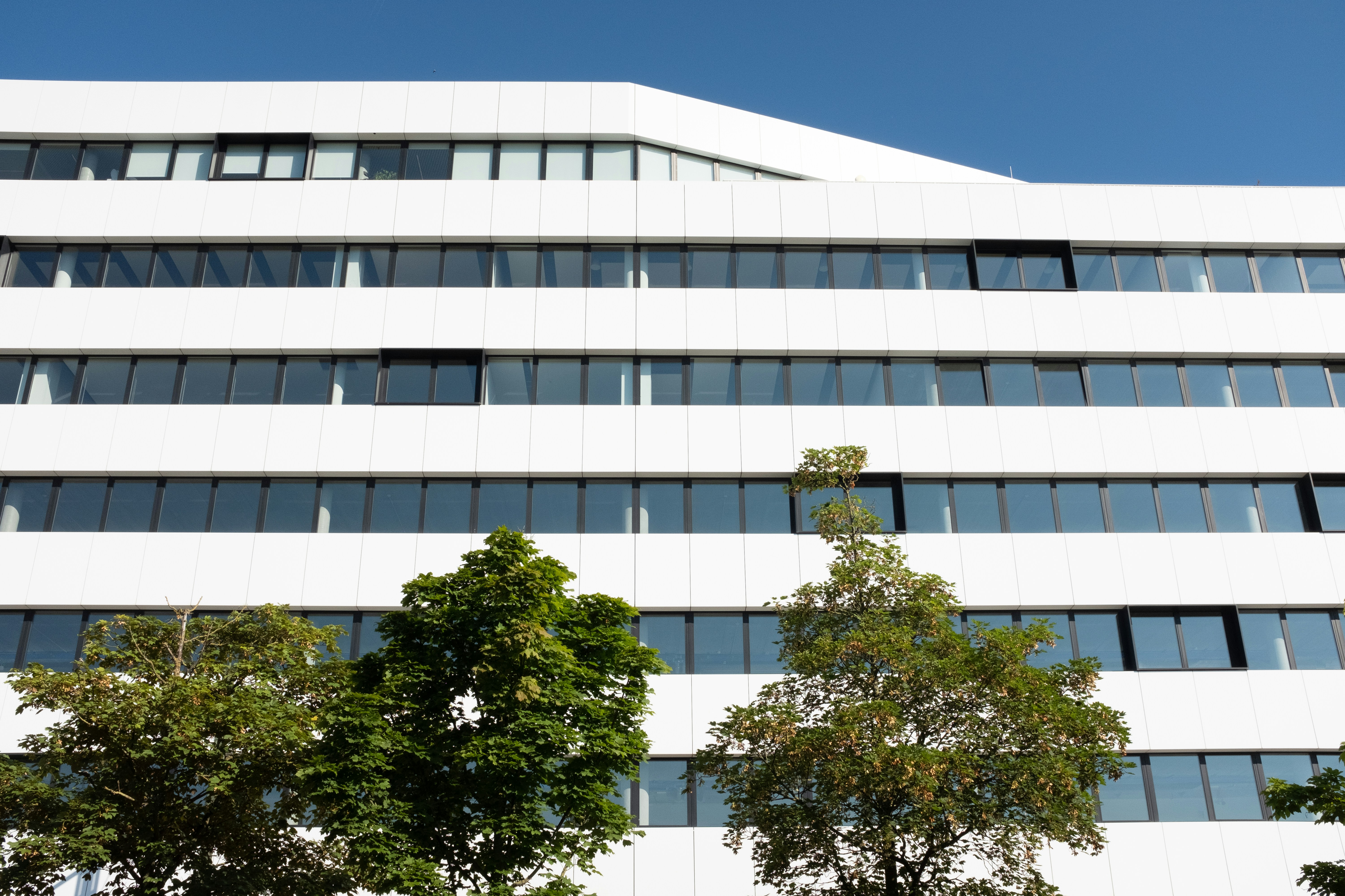 Un gran edificio blanco con árboles frente a él foto – Imagen de Edificio gratuita en Unsplash