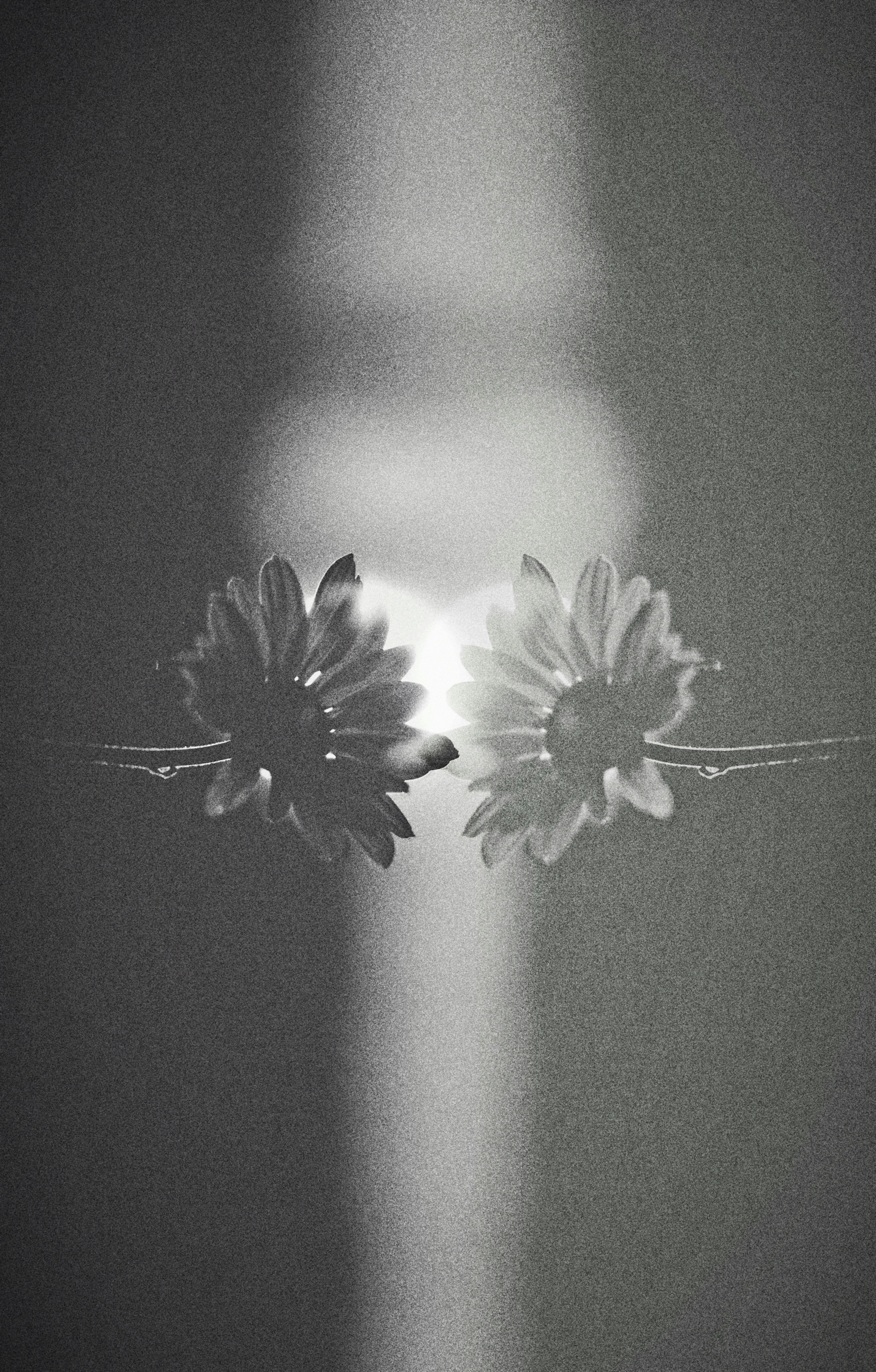 Photo by Liana S with Nikon D600