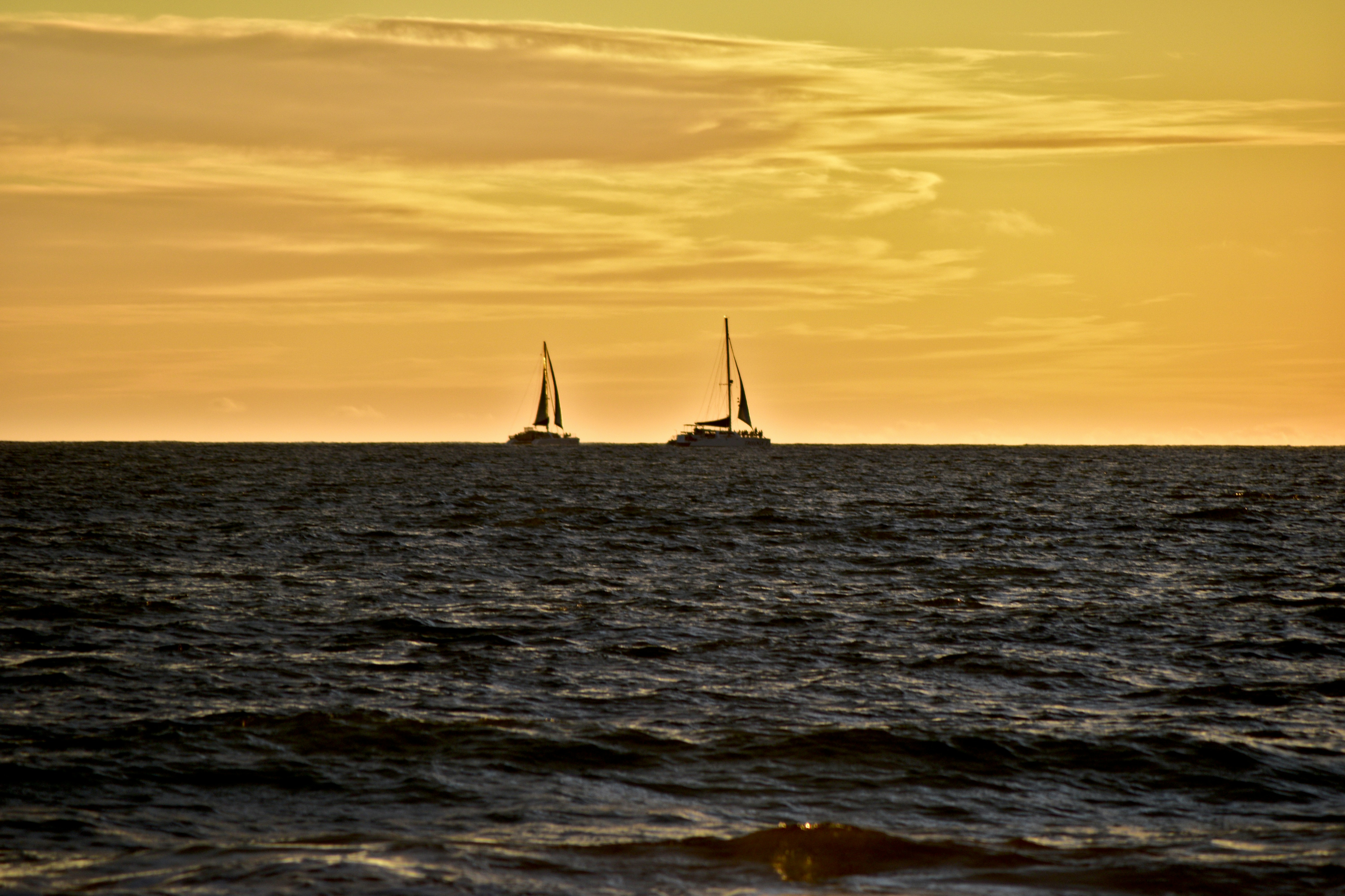 Sara Bach (@sarabach) | Unsplash Photo Community