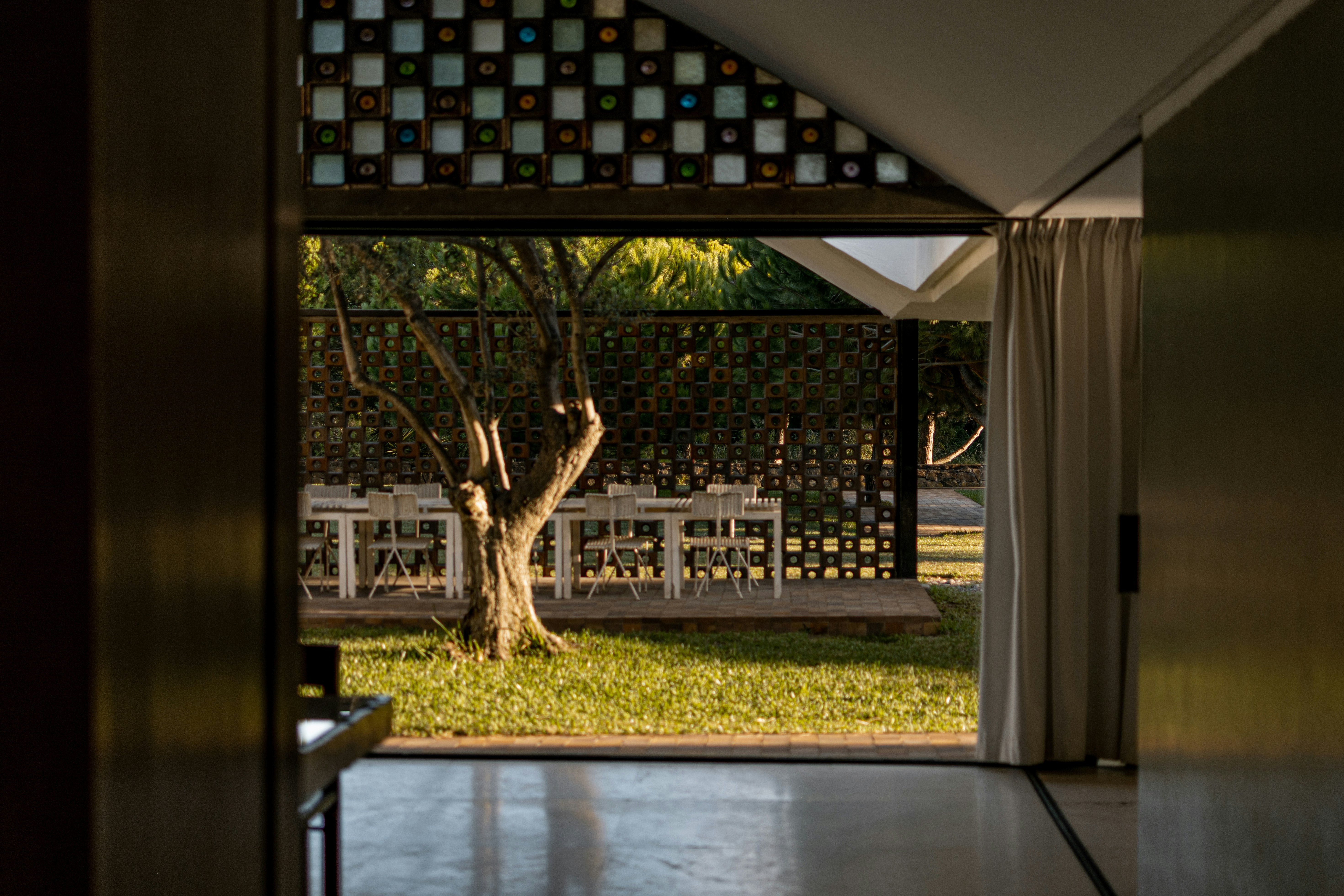 A view of a tree through a glass door photo – Free Atardecer Image on ...