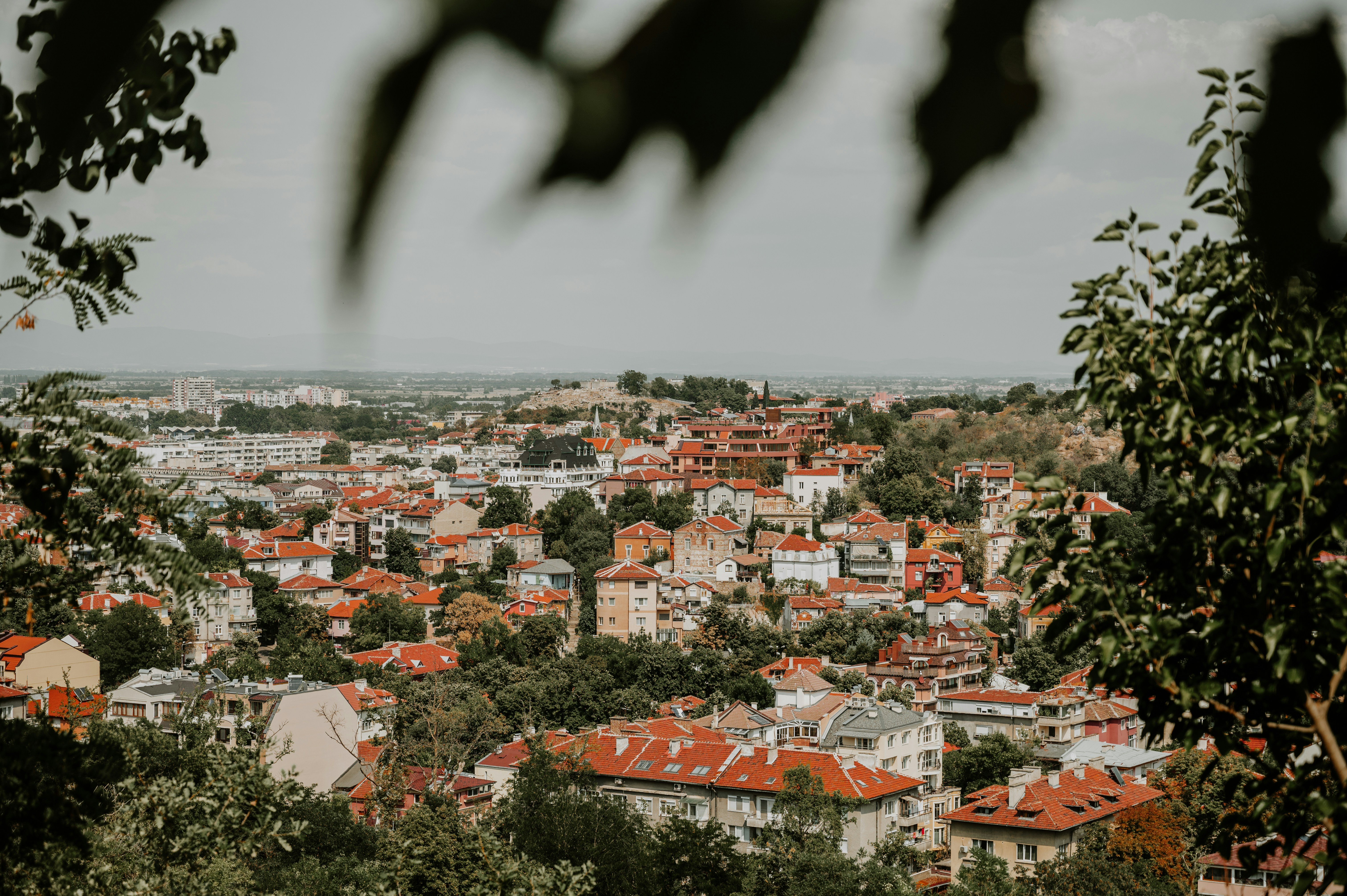 Photo by Virginia Marinova with Nikon Z6