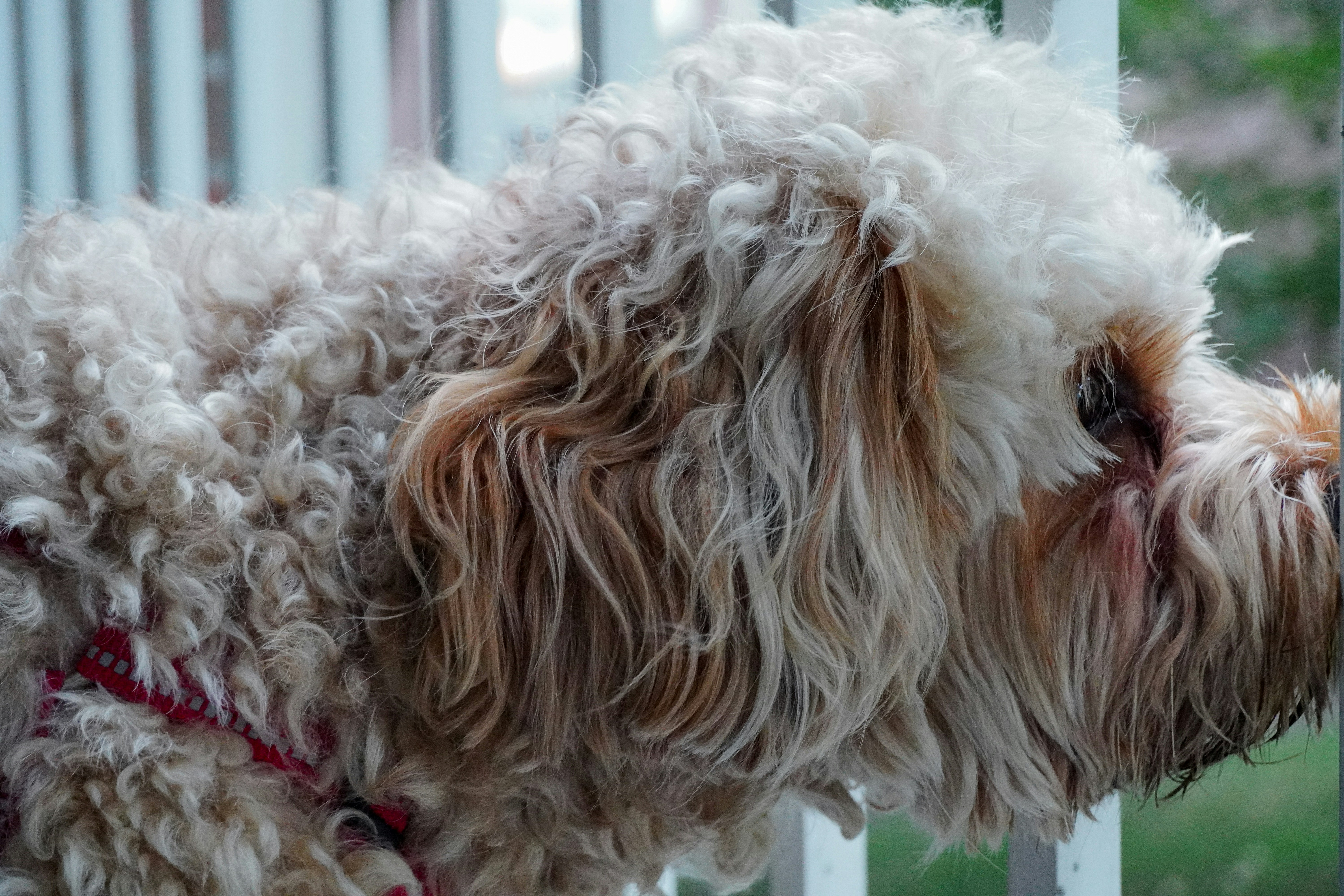 Aishwarya Gunde (@aishwaryagunde) | Unsplash-Foto-Community