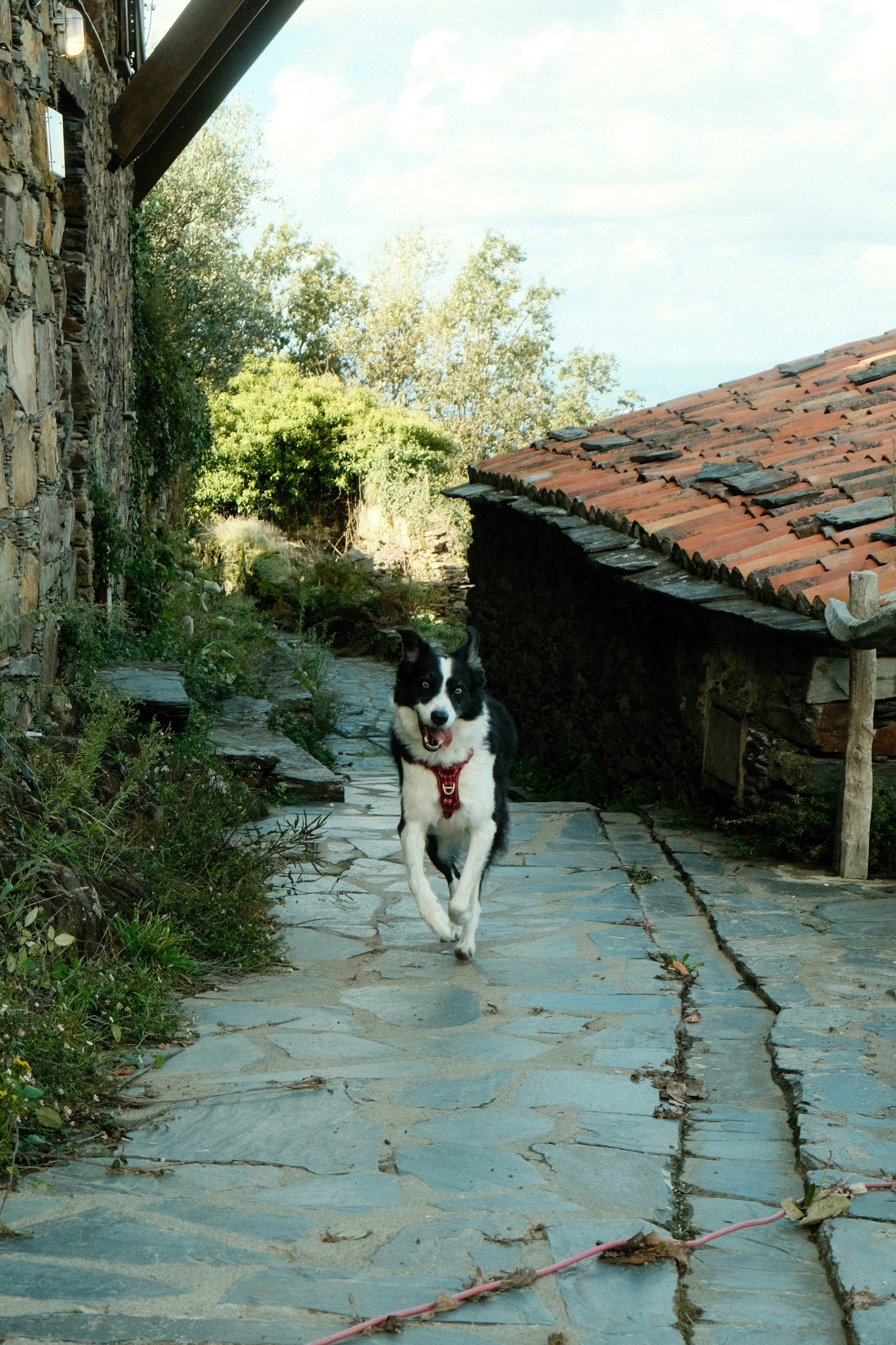 Photo by Denis with Fujifilm X-T30 II