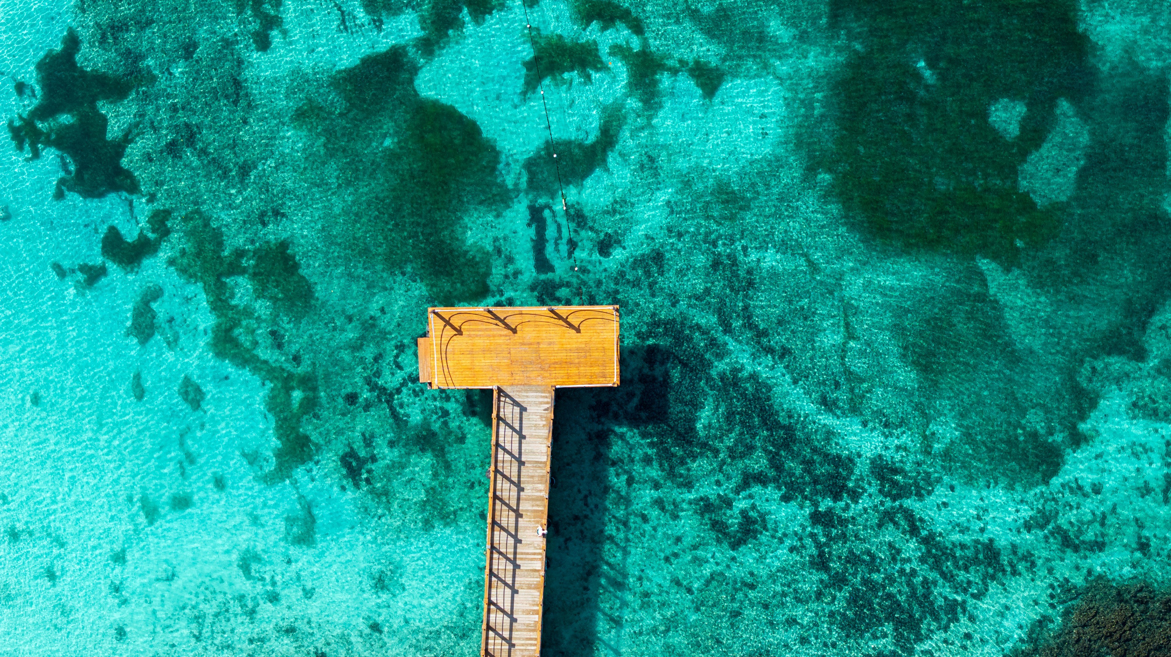 Osman Rana (@osmanrana) | Unsplash Photo Community