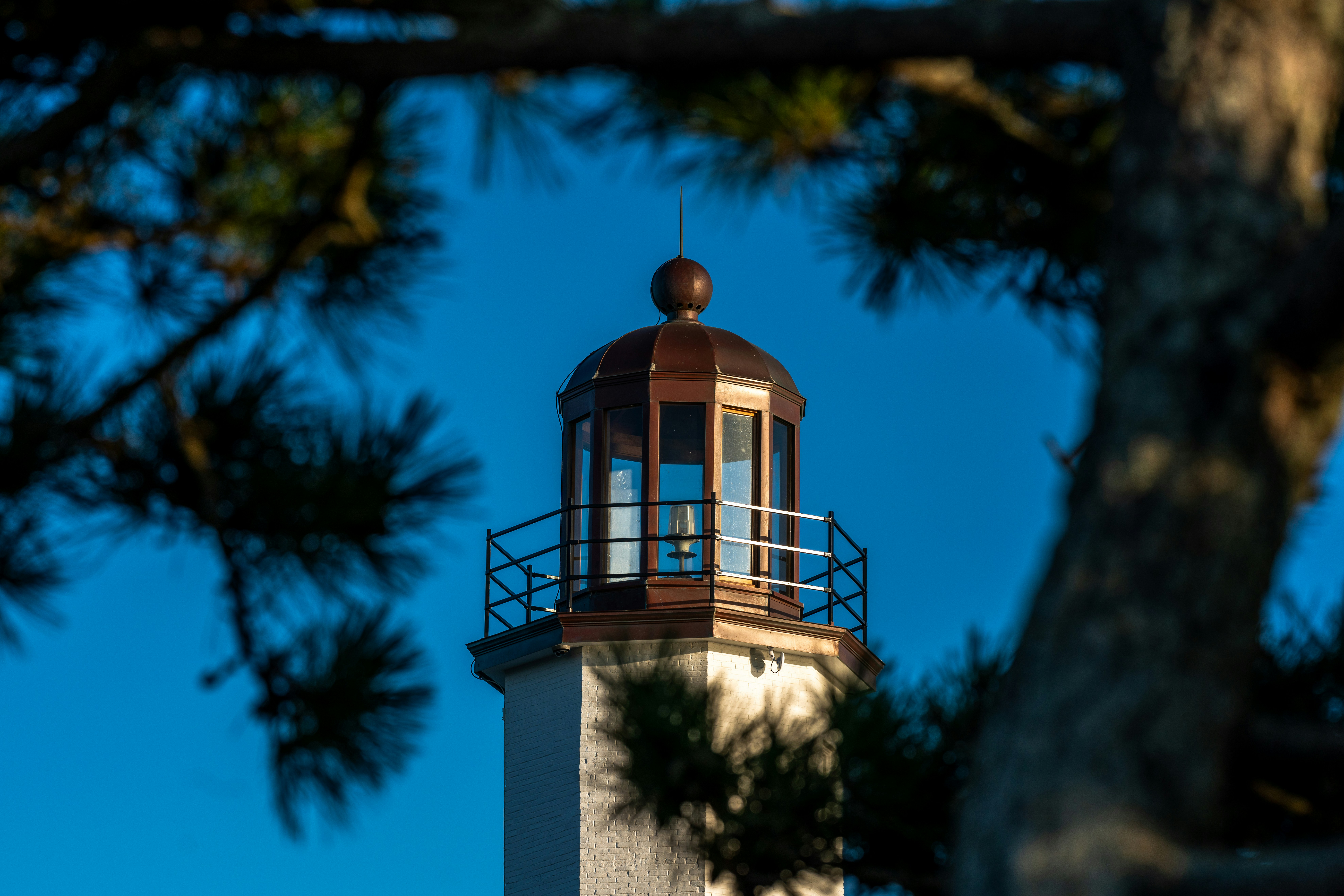 Osman Rana (@osmanrana) | Unsplash Photo Community