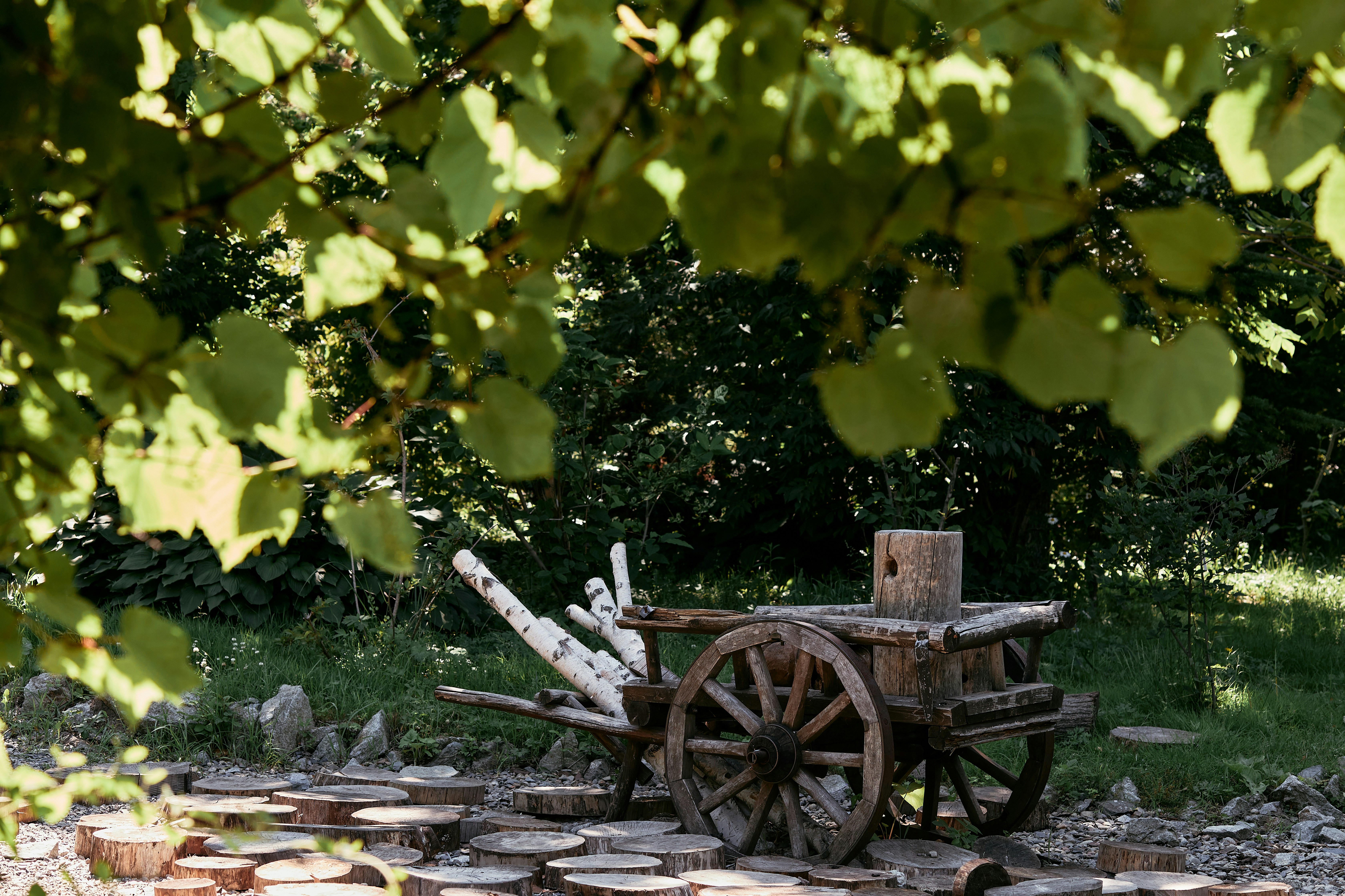 Photo by Олег Мороз with Canon EOS 5D Mark IV