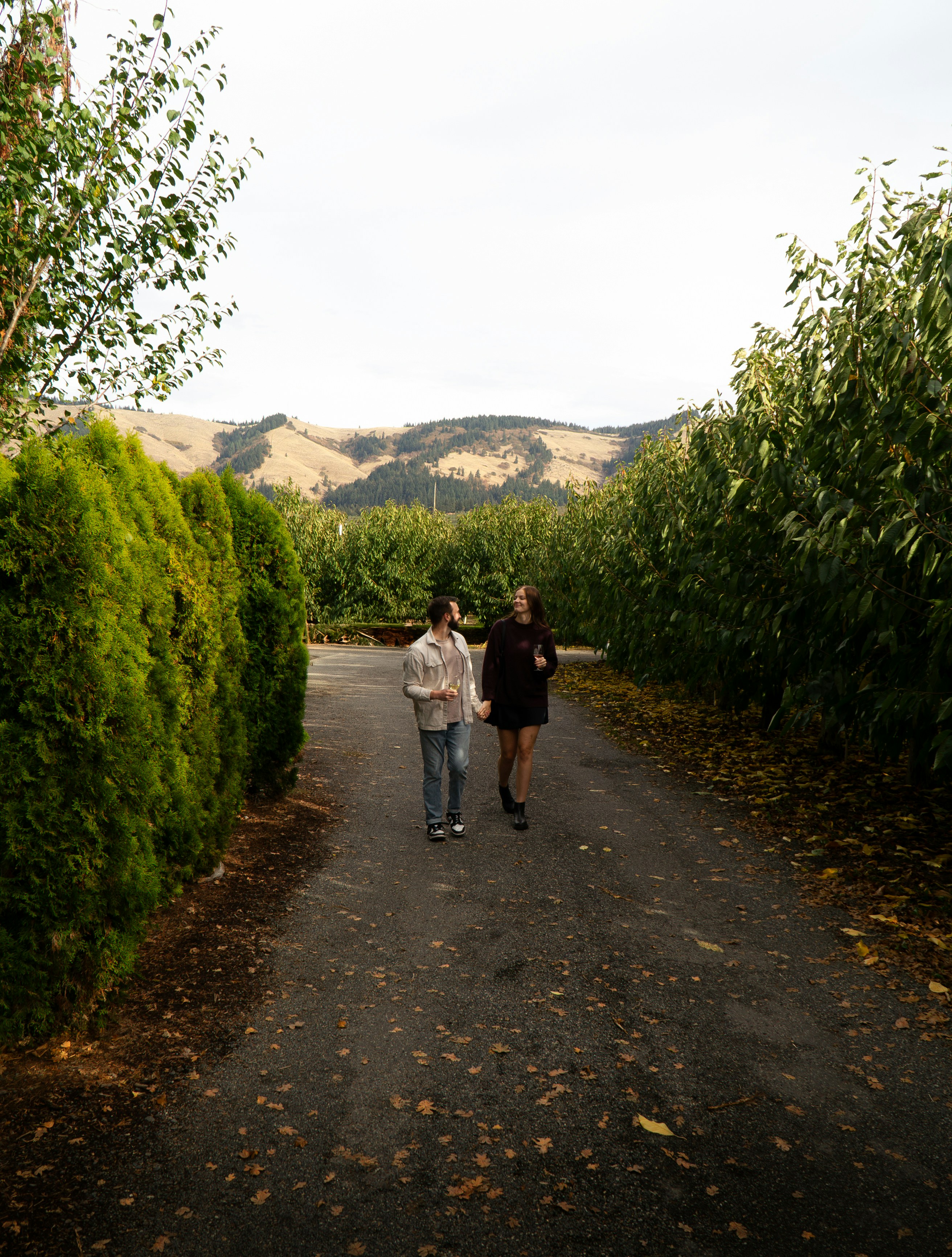Two walkers on a tree-lined rural path under a pale sky