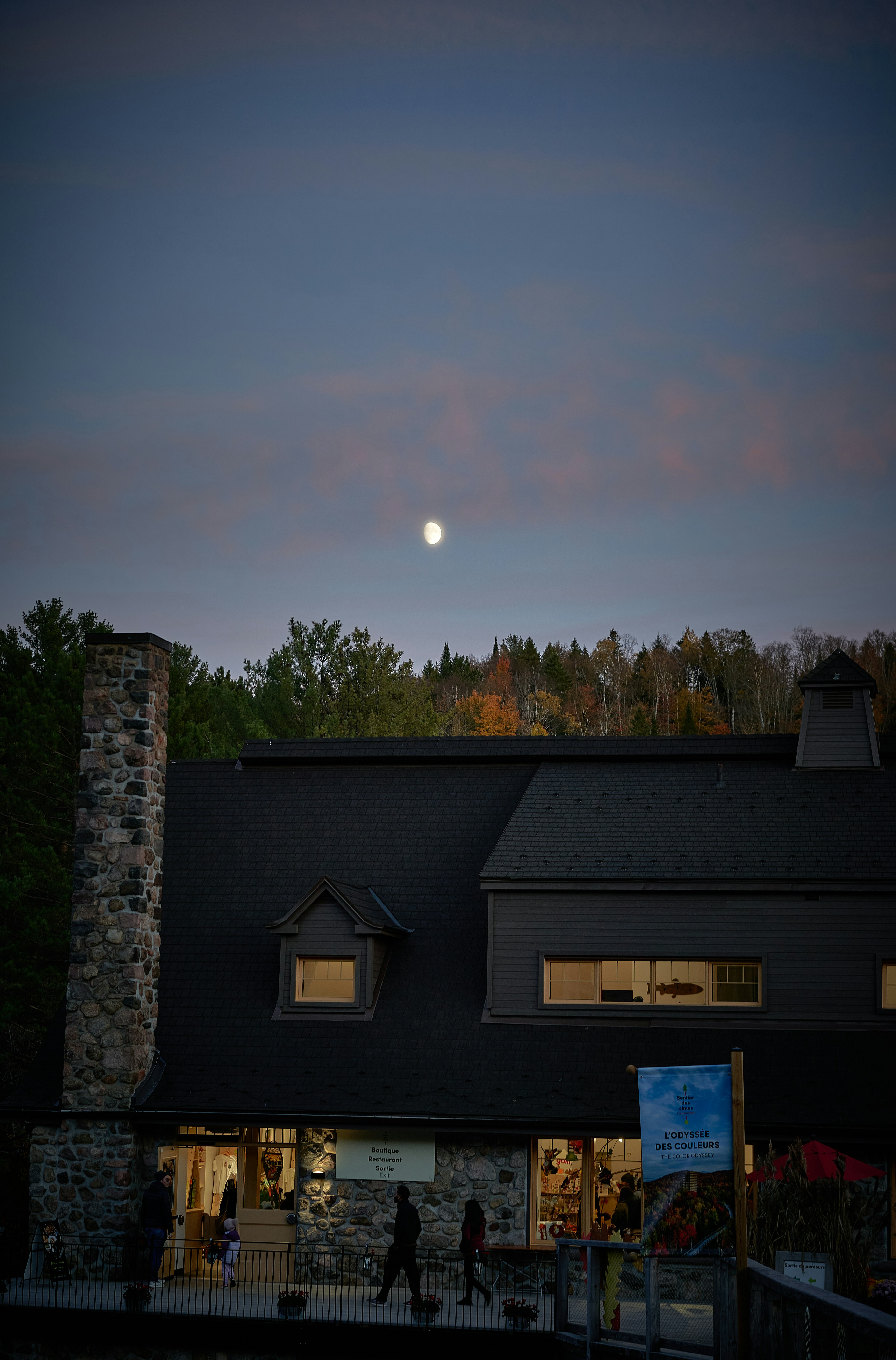 Moonrise Over Quiet Woods: Night-time at the Lodge