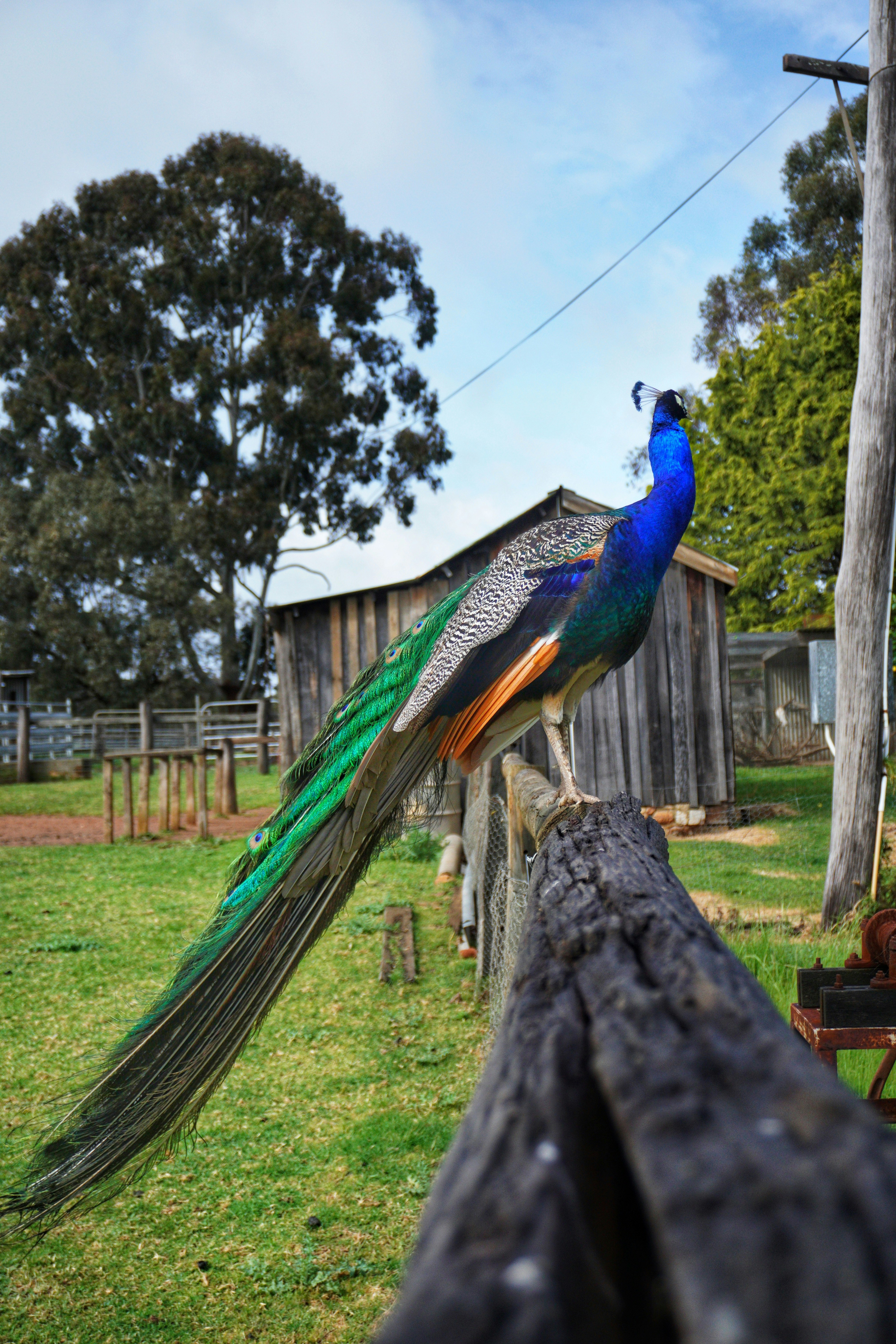 Photo by Chris H with Sony Alpha 6400