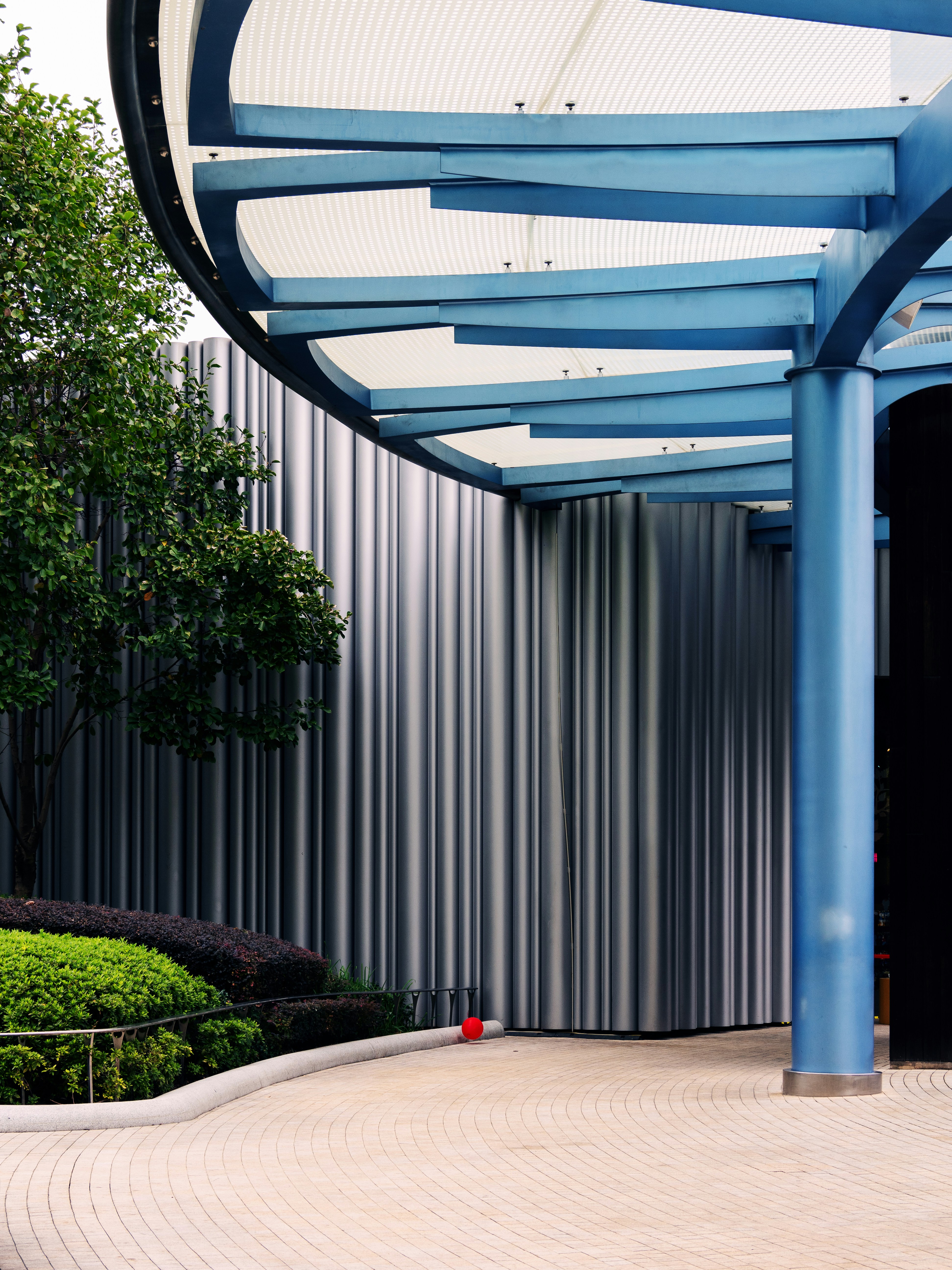 Photo by Declan Sun with OM System OM-1 Mark II