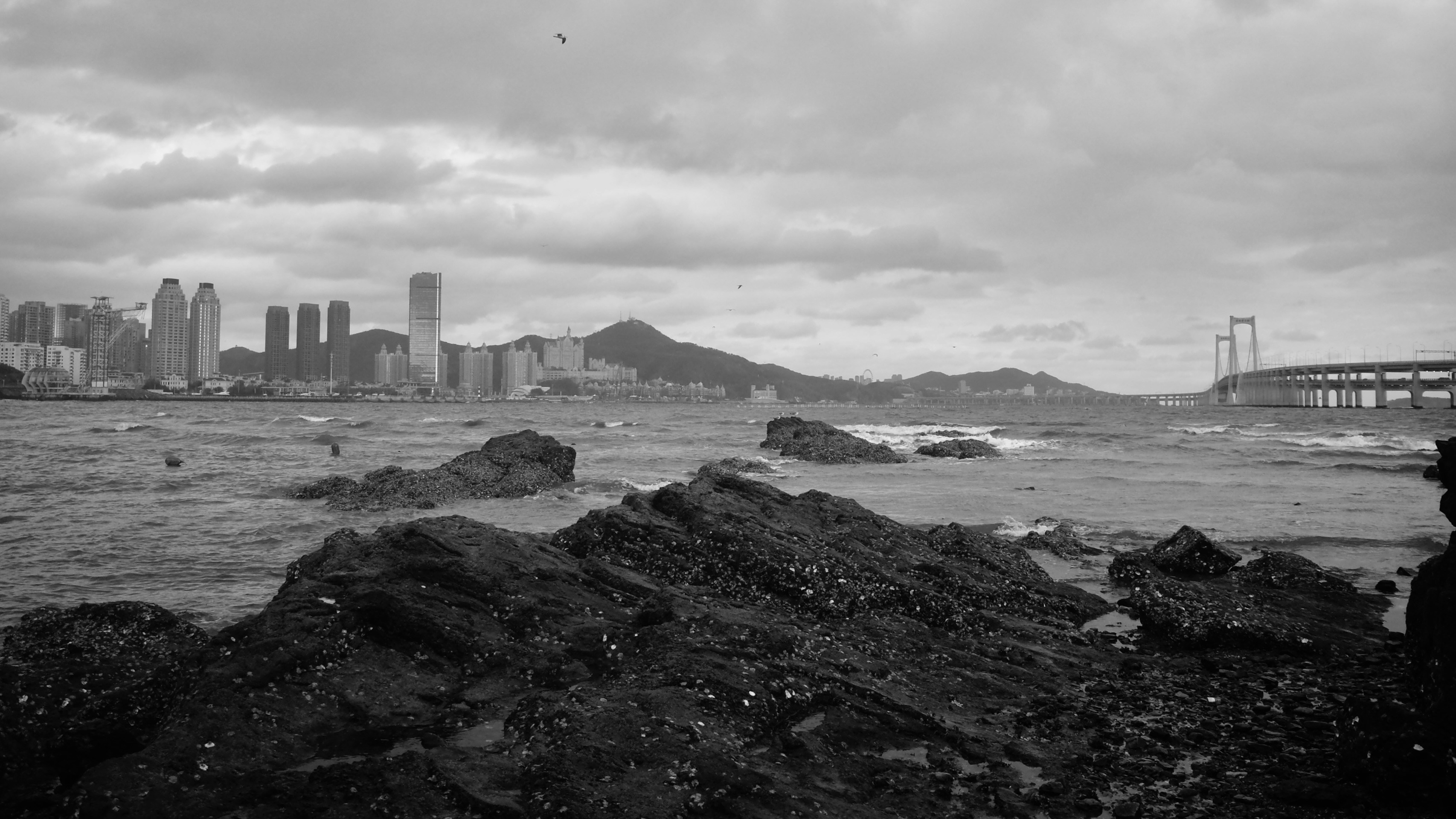 Rough Shoreline, Quiet Horizon: Rocks in Foreground Meet a Distant Urban Skyline
