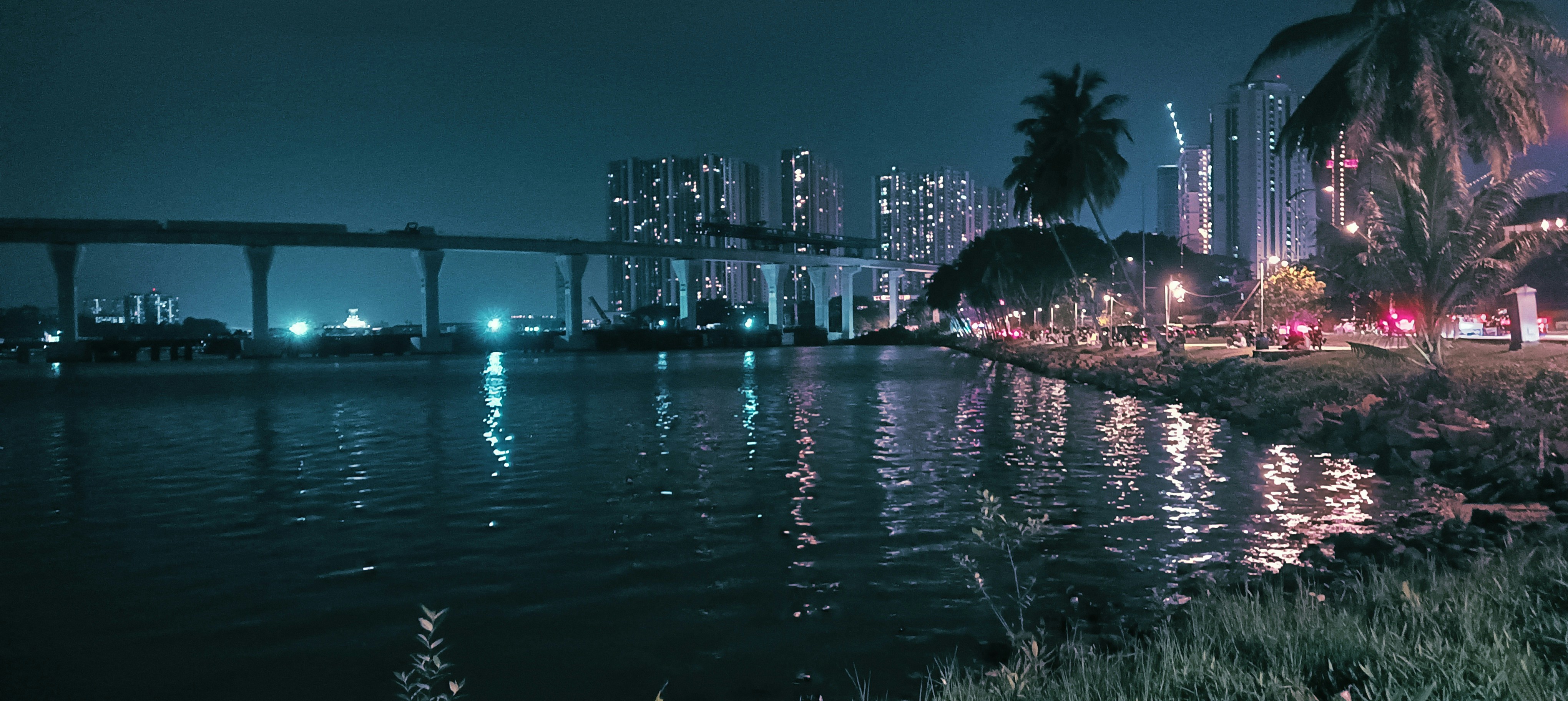 City skyline reflected in calm waterfront under a night sky with a distant bridge and palm trees.