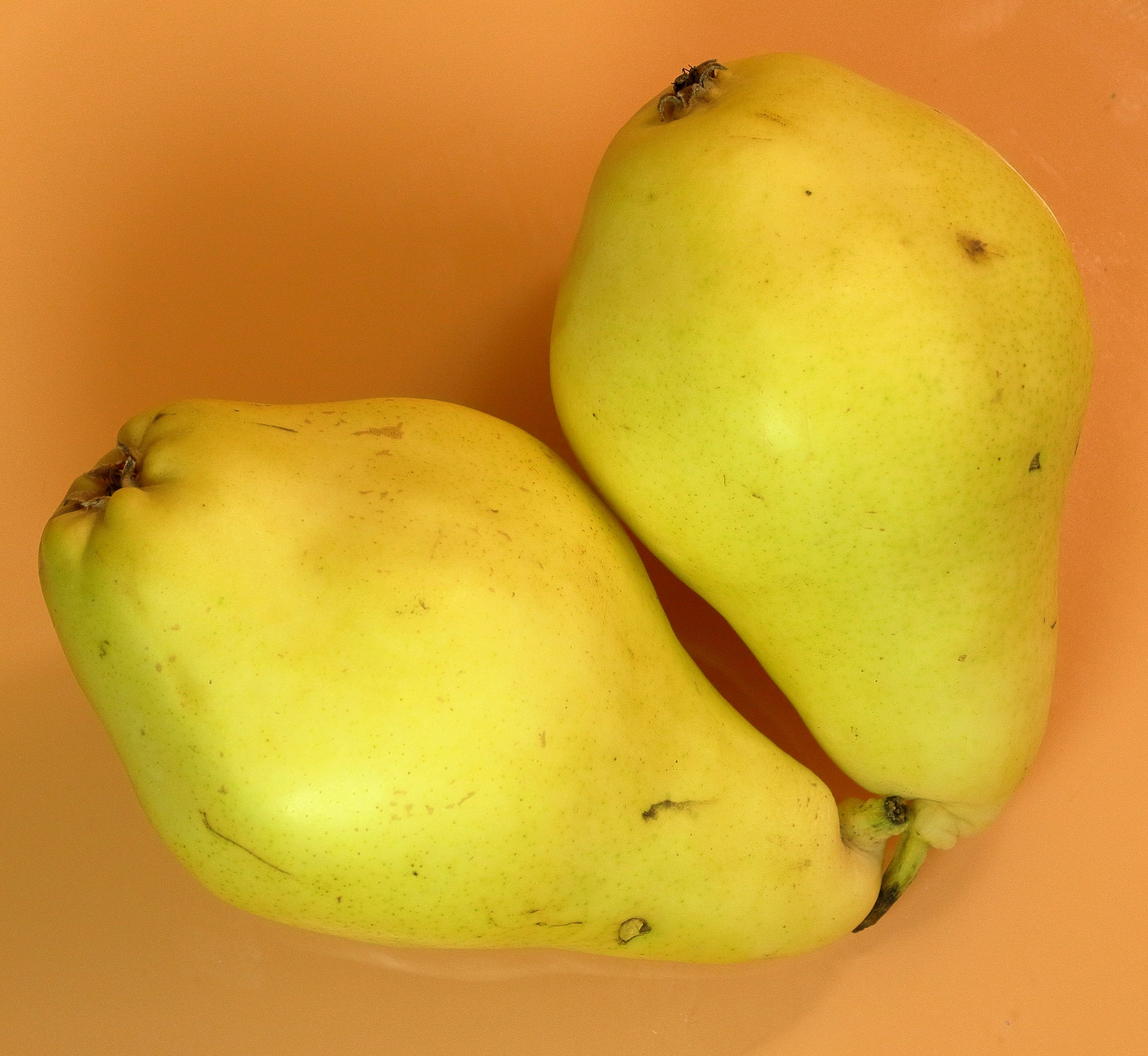 Photo by Mustafa akın with Canon EOS 1300D