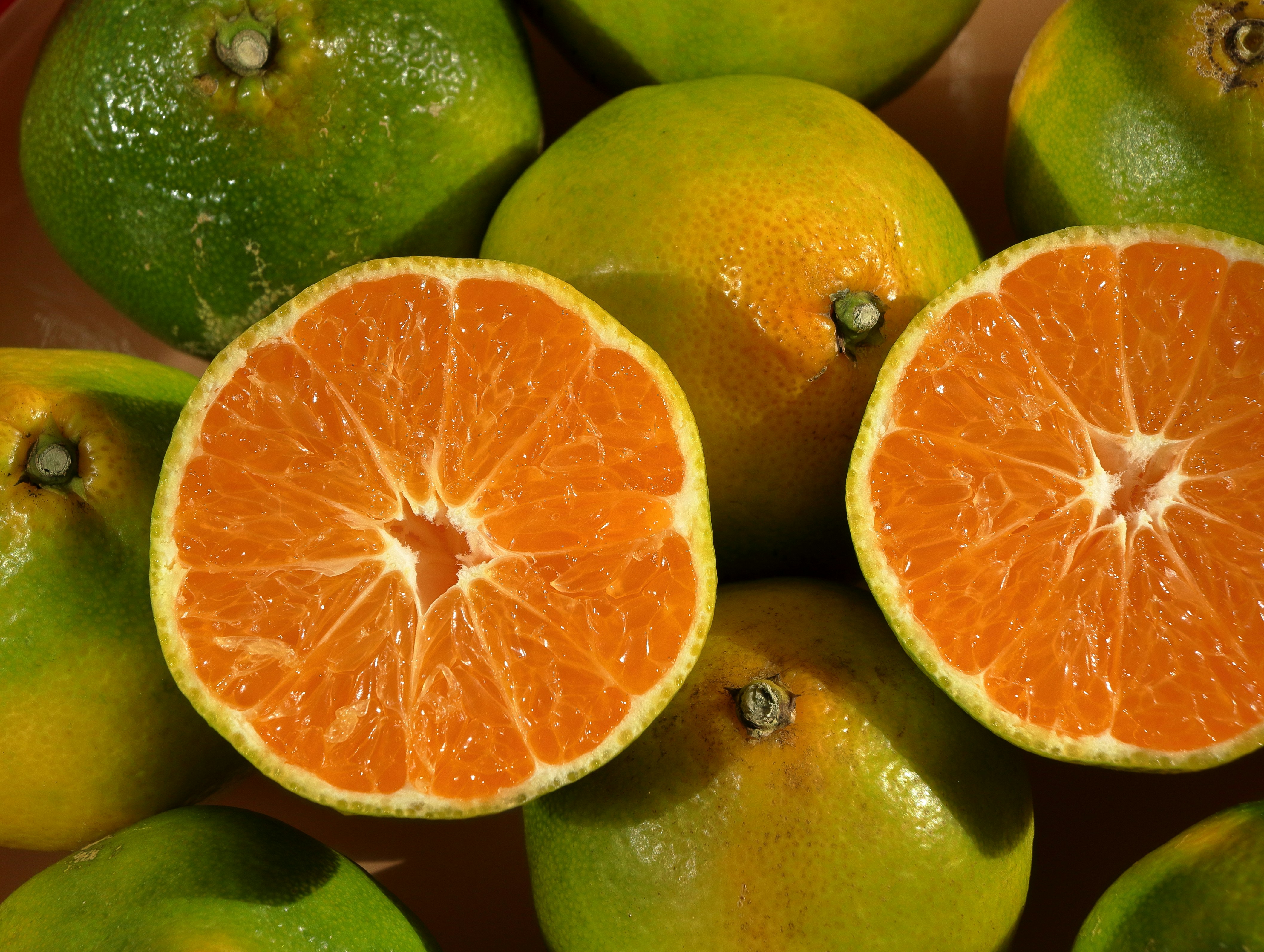 Photo by Mustafa akın with Canon EOS 1300D