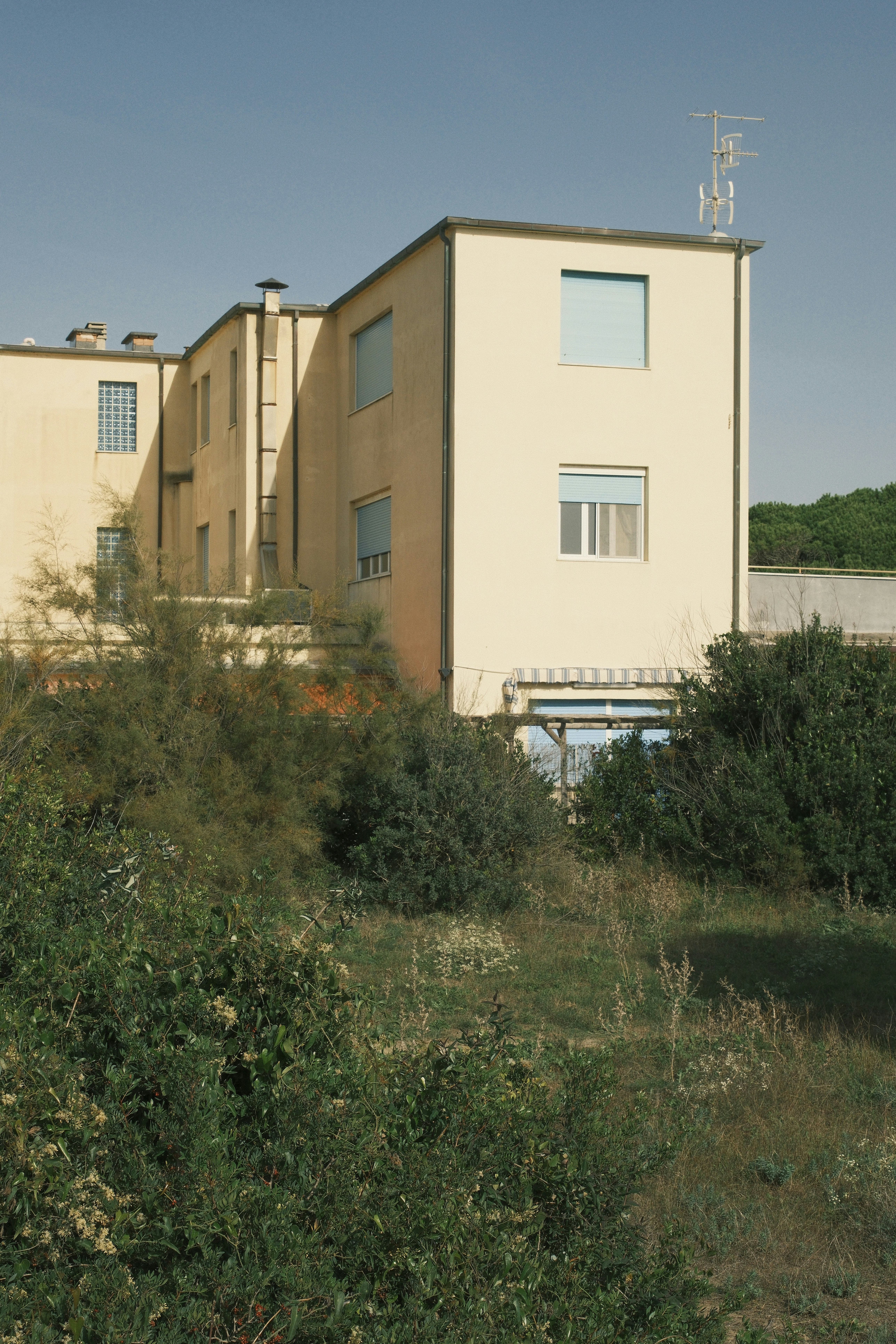 Beige apartment block rising from a wild garden under a clear blue sky
