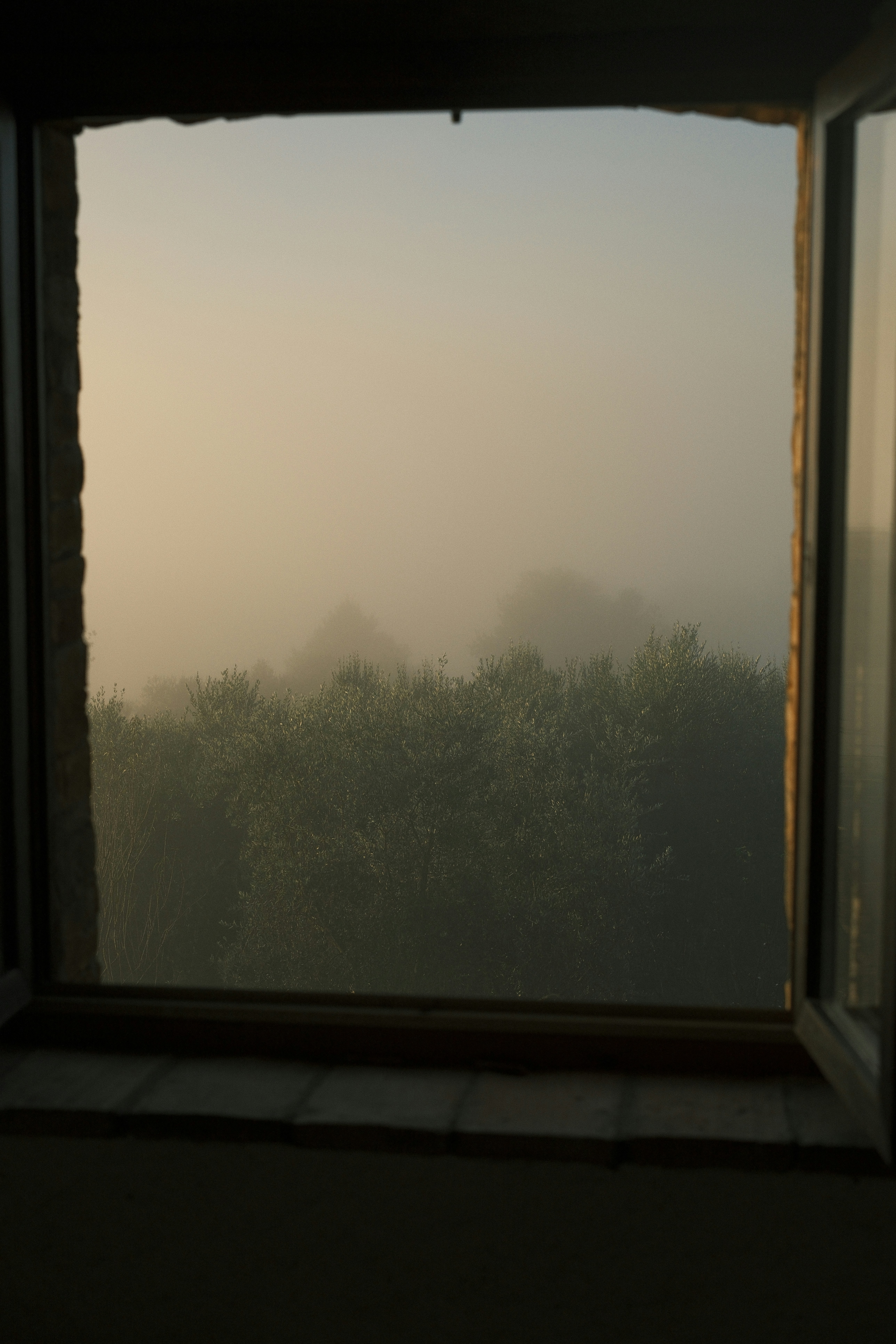 A window with a view of a foggy forest photo – Free Tuscany Image on ...