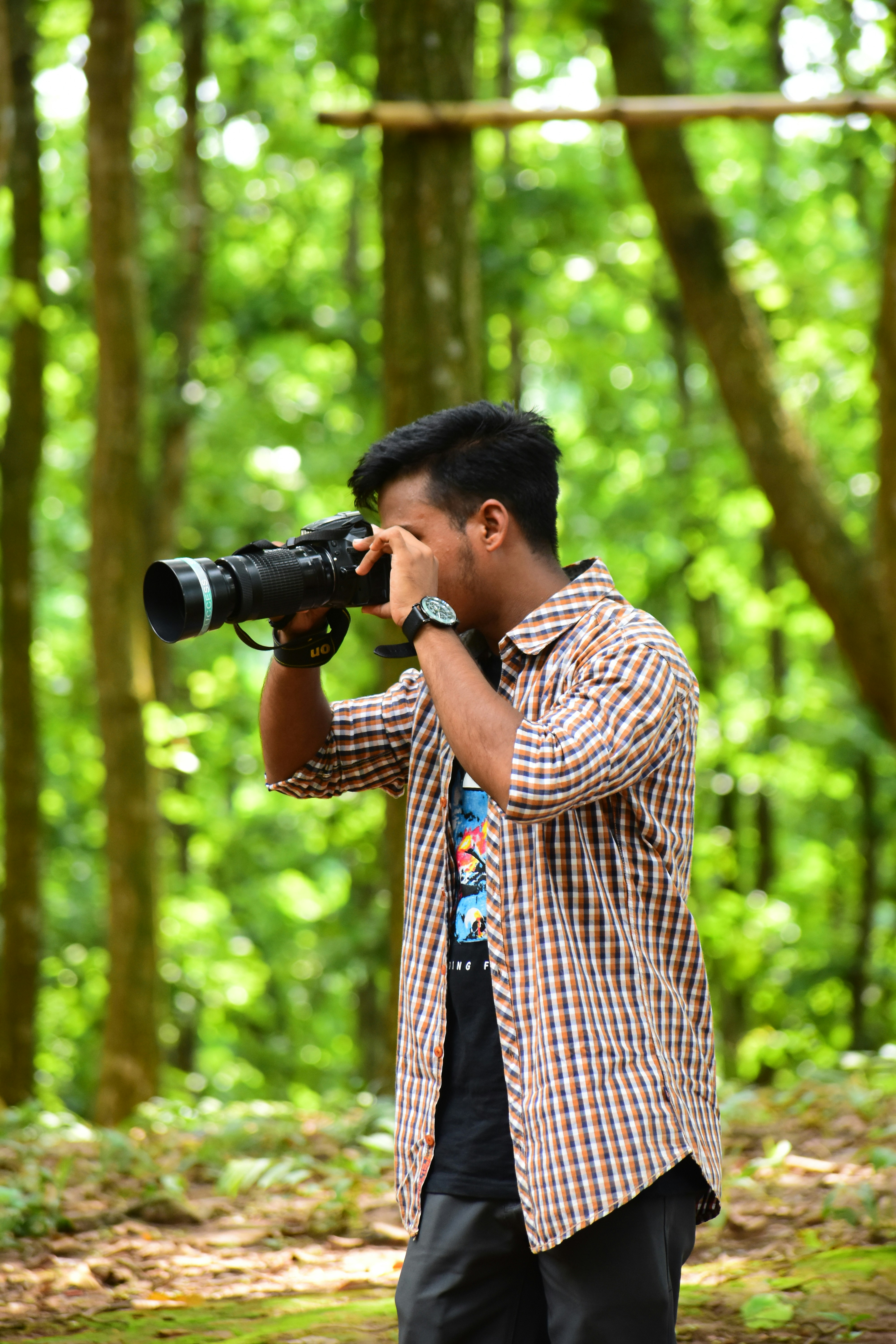 Green Canopy, Big Lens: A Forest Portrait in Motion