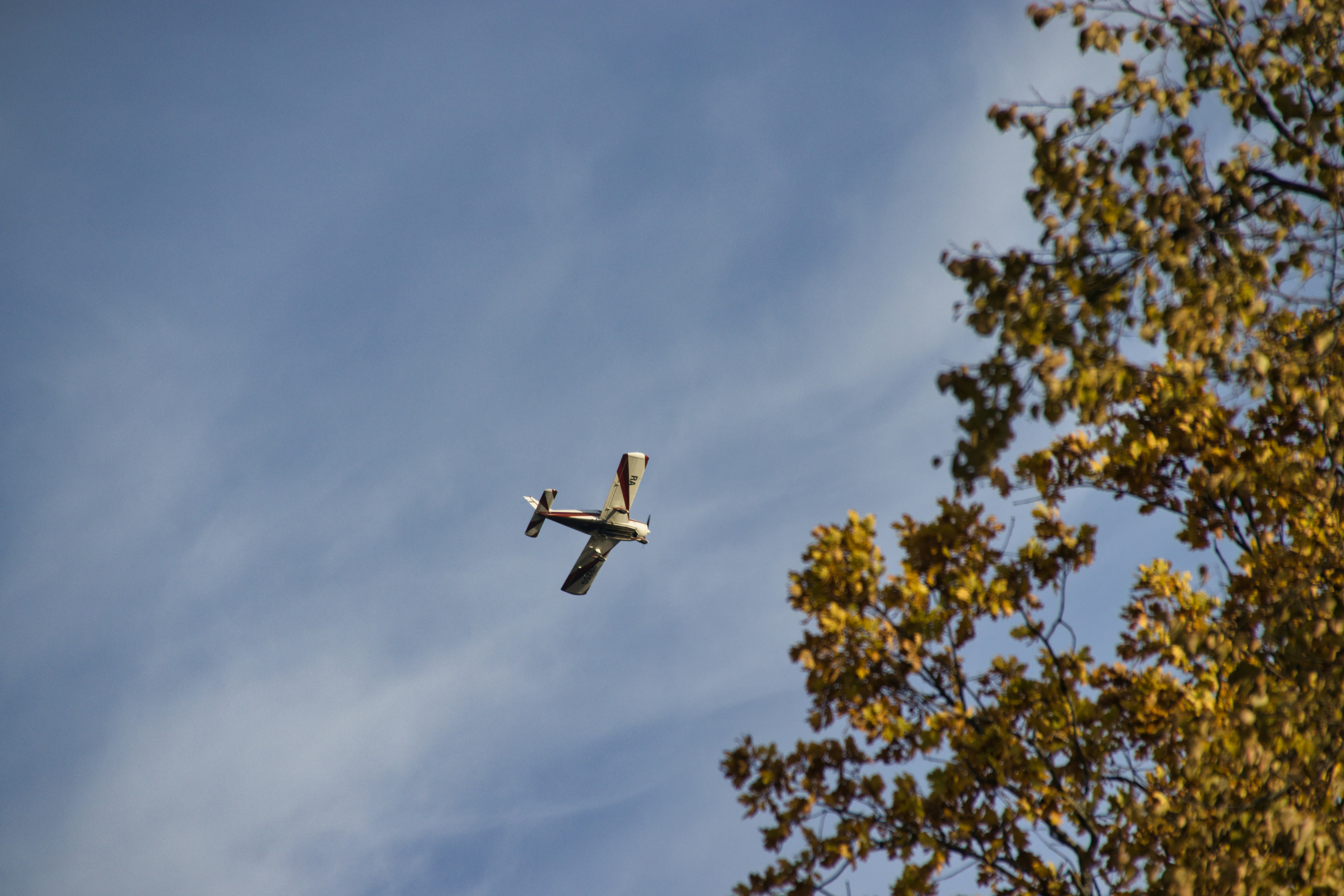 Photo by Georgii Eletskikh with Canon EOS 250D