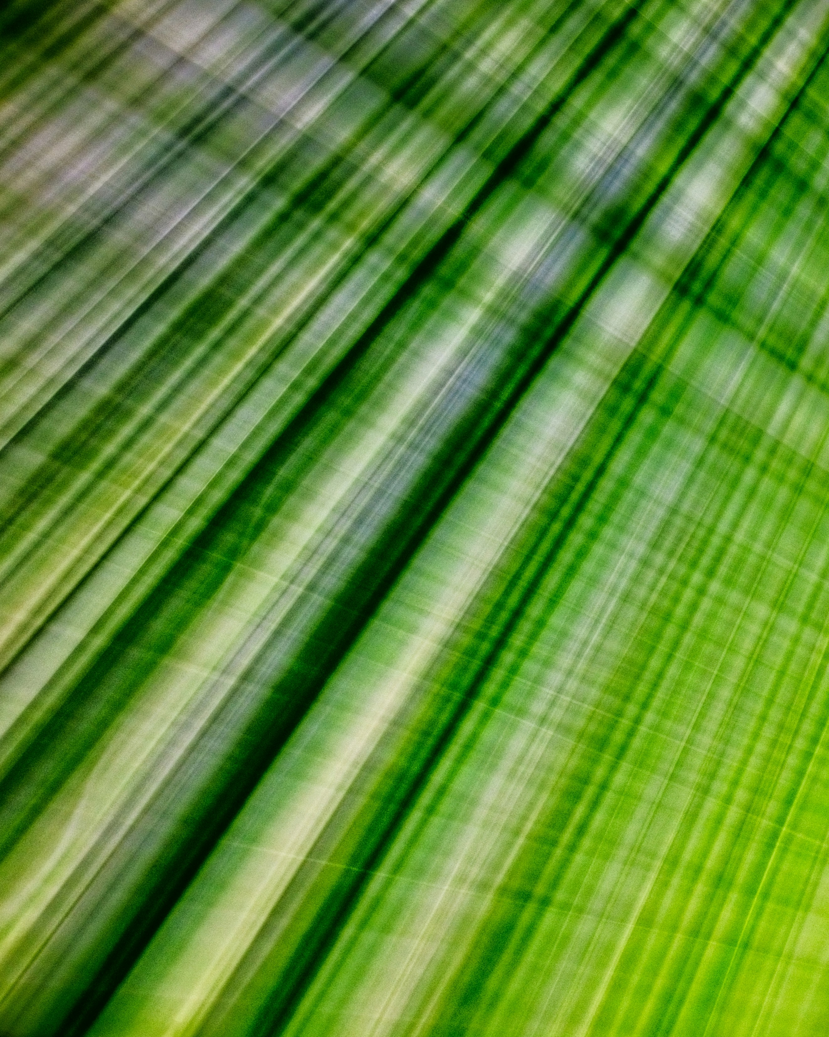 Diagonal Emerald Strata
