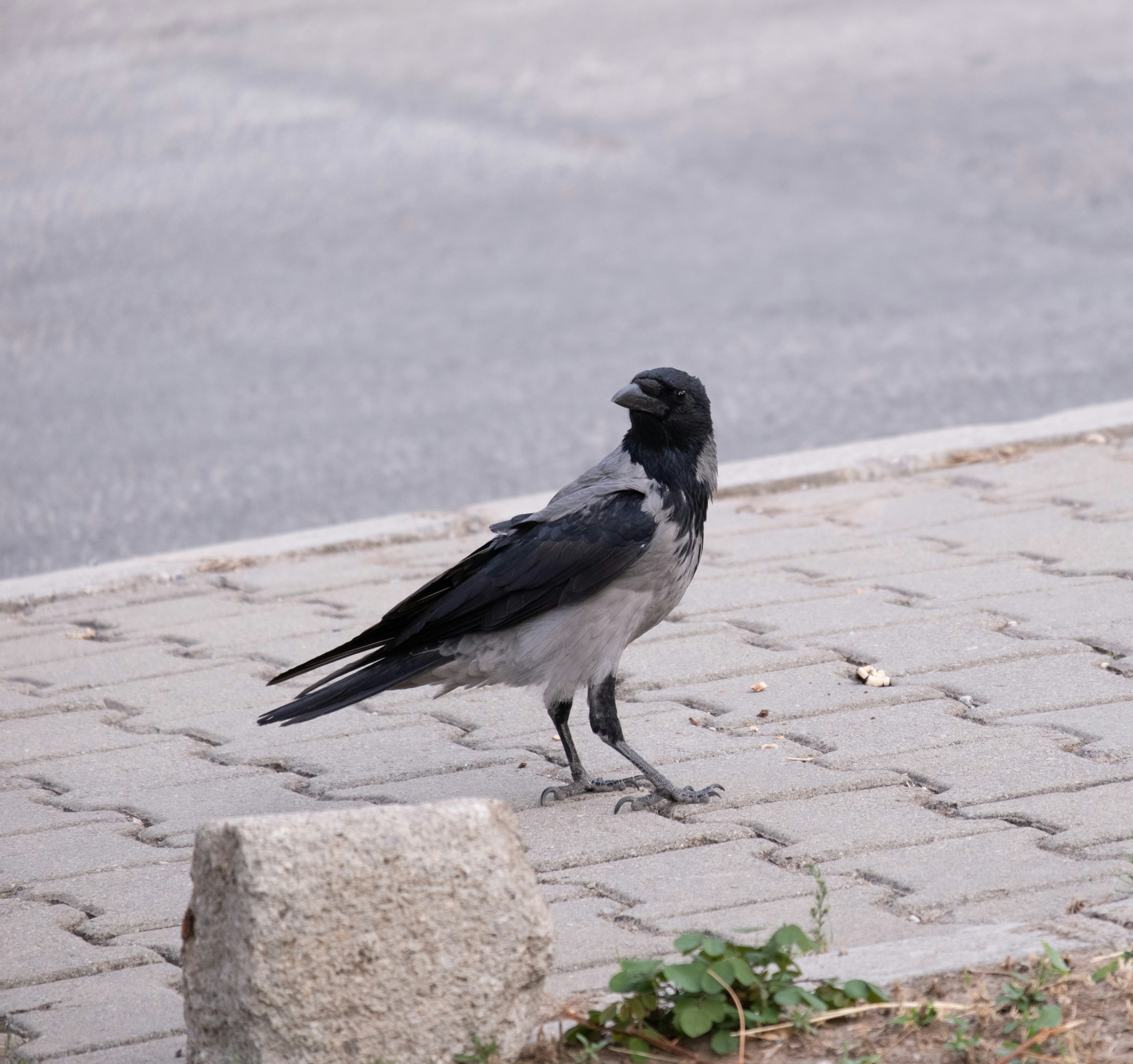 Photo by Doğan Alpaslan DEMİR with Fujifilm X-T5