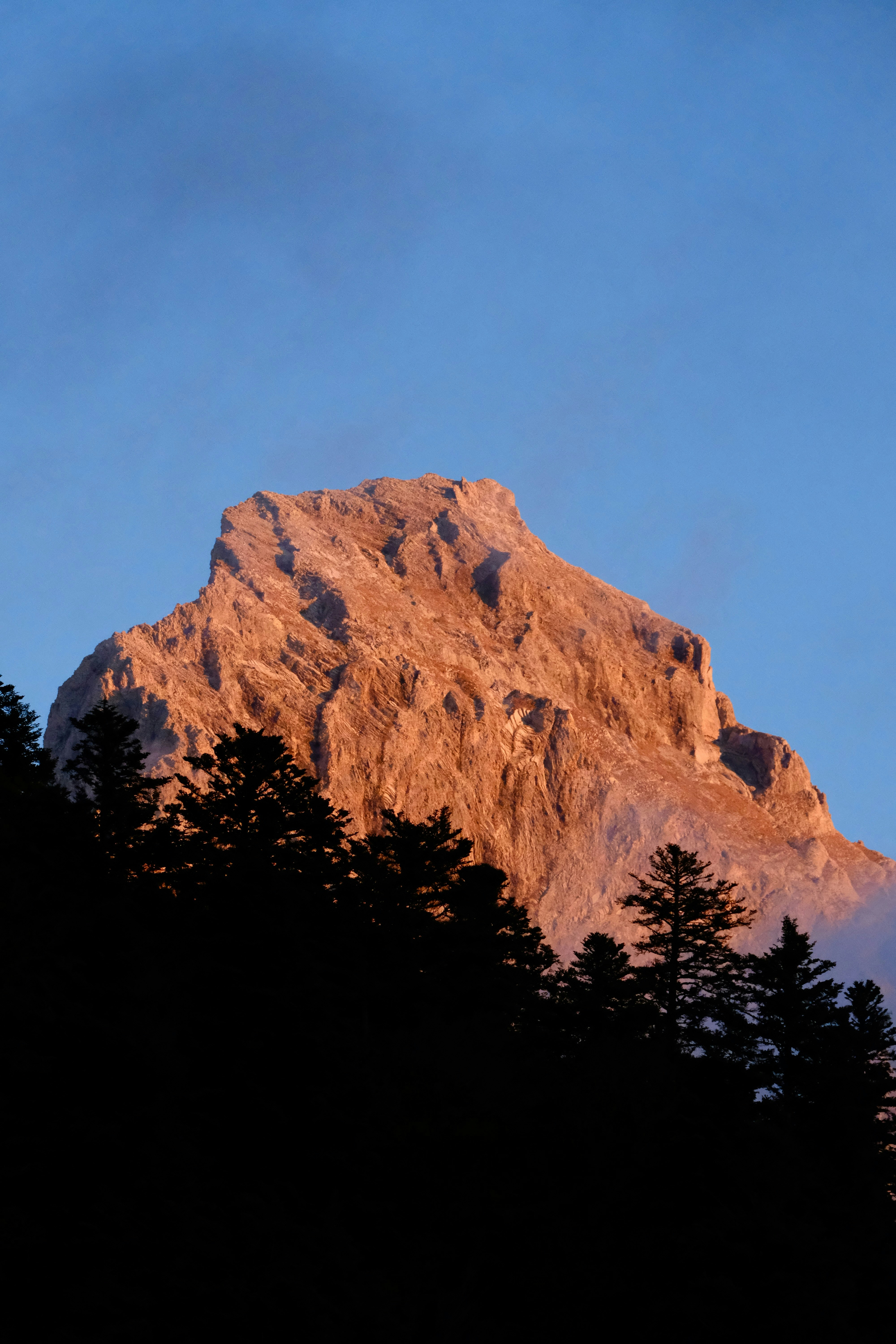 Photo by Thomas Jarrand with Fujifilm X-T20