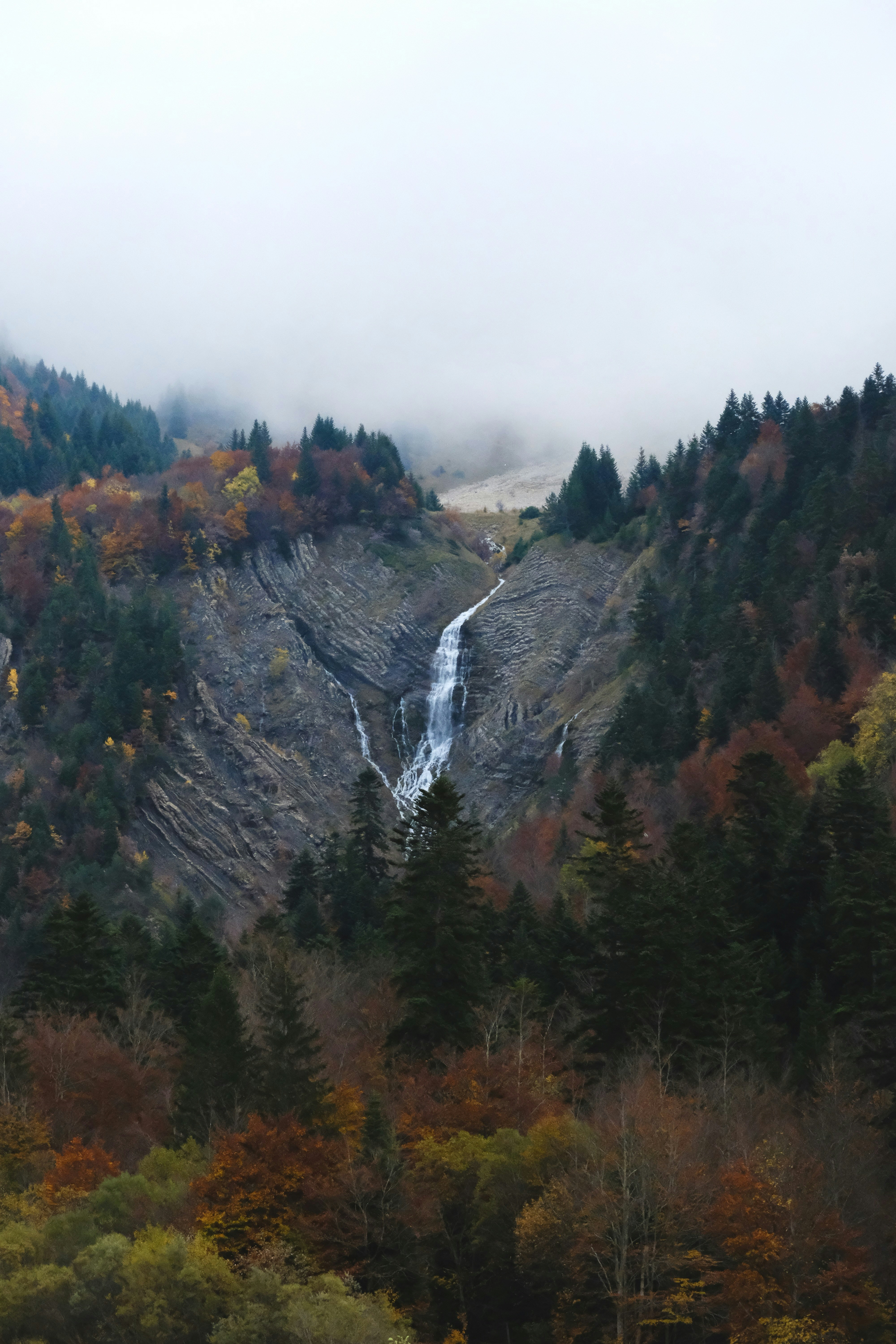Mist-Softened Cascade in a Conifer-Filled Autumn Gorge