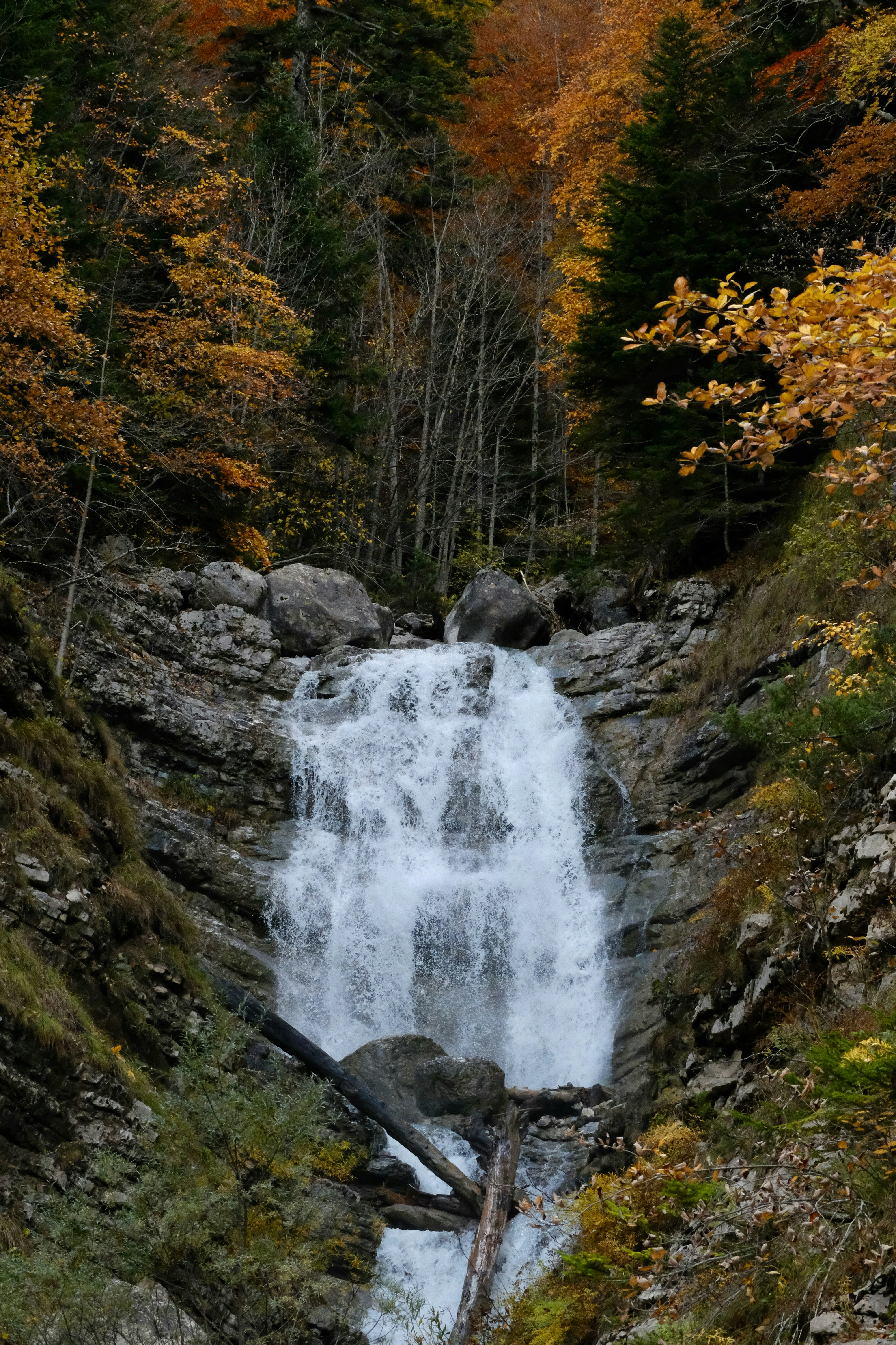 Autumn Cascade Through a Granite Gorge Amid Golden Pines