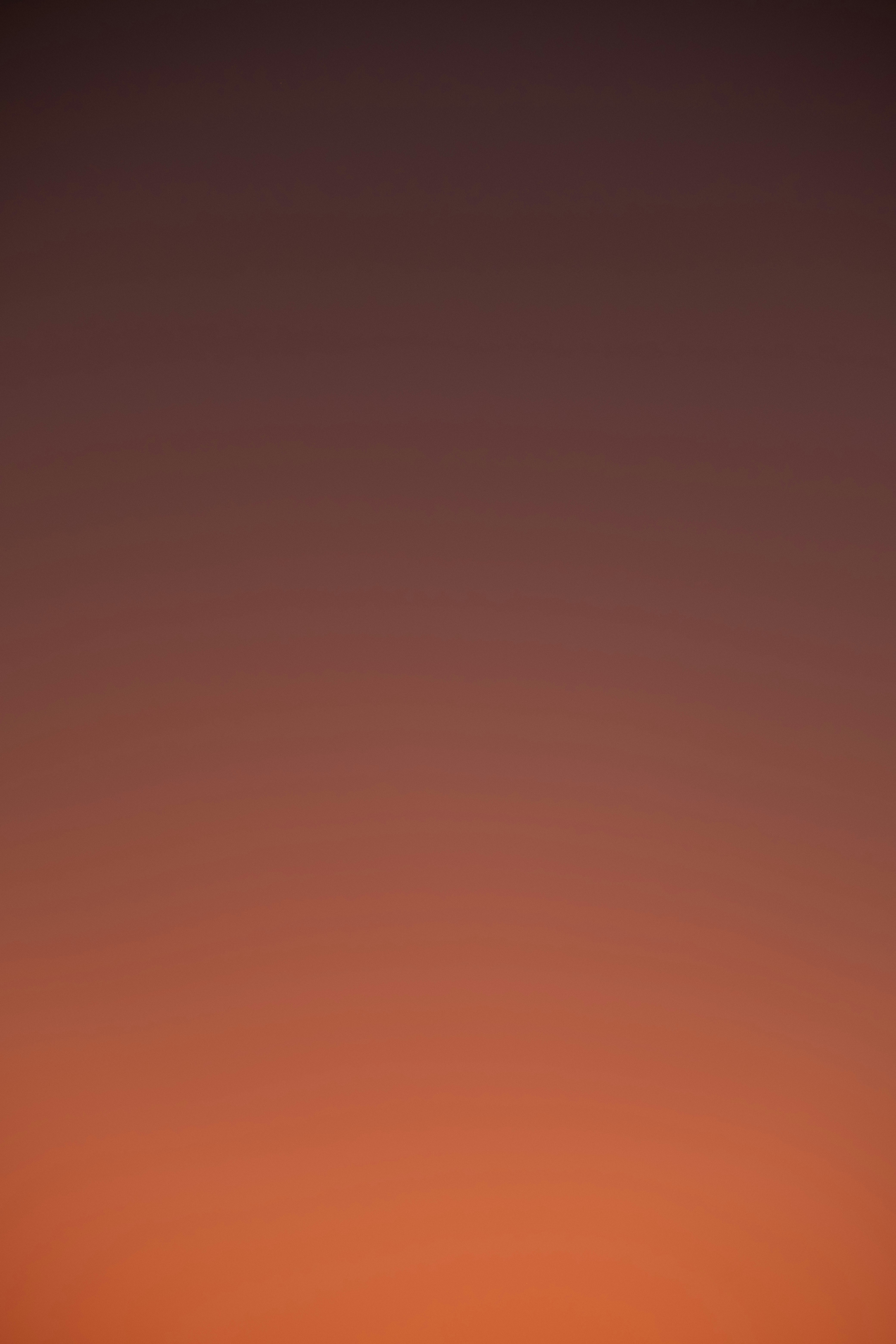 A group of elephants standing on top of a grass covered fieldJoachim Lesne