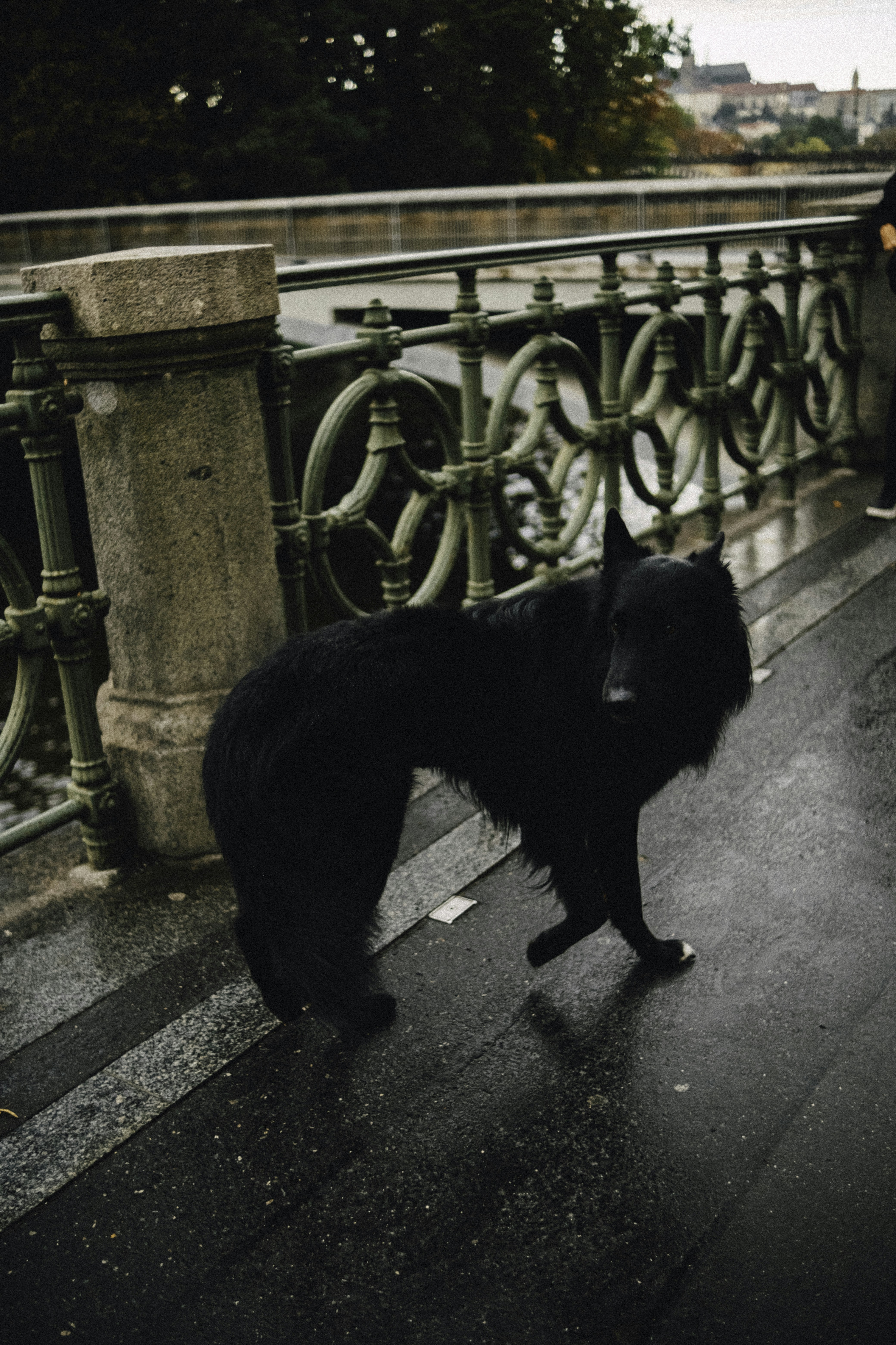 Photo by Martin Siblík with Fujifilm X-S20