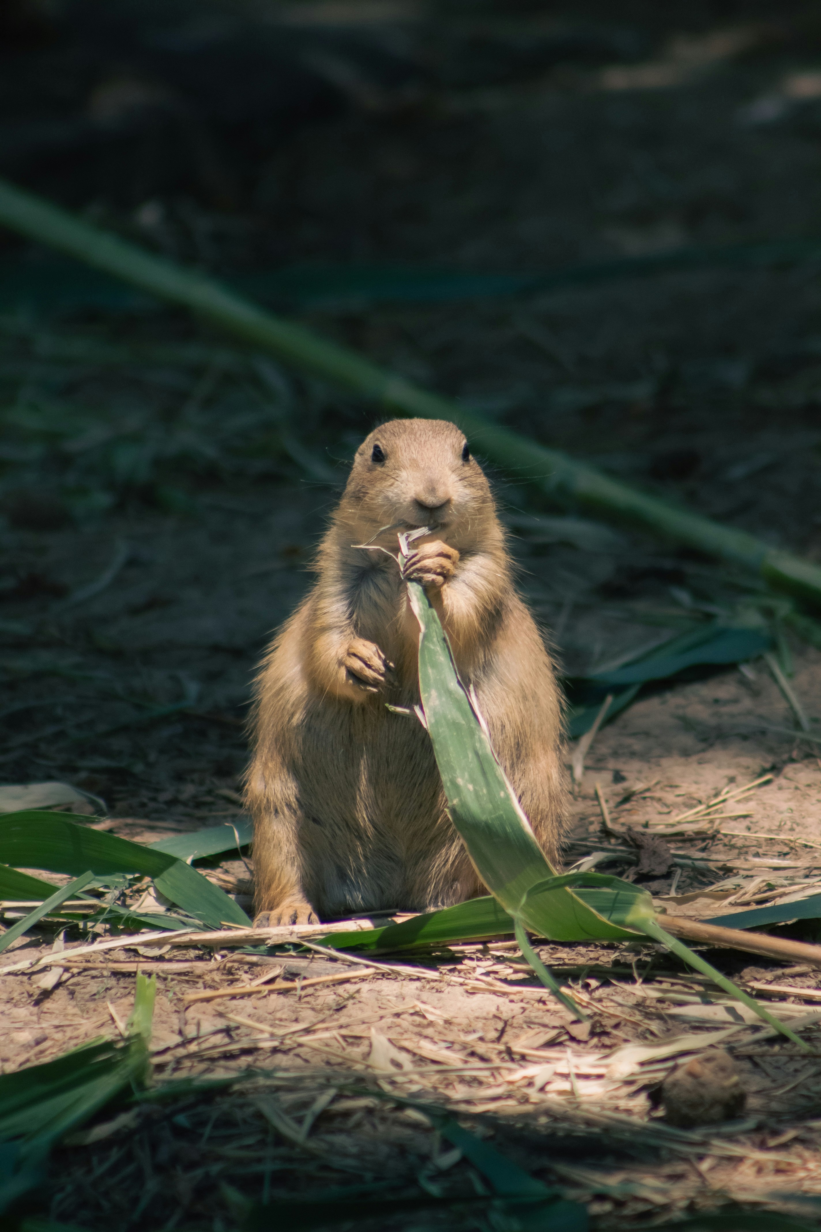 Sam McCool (@sam_mccool) | Communauté photos Unsplash