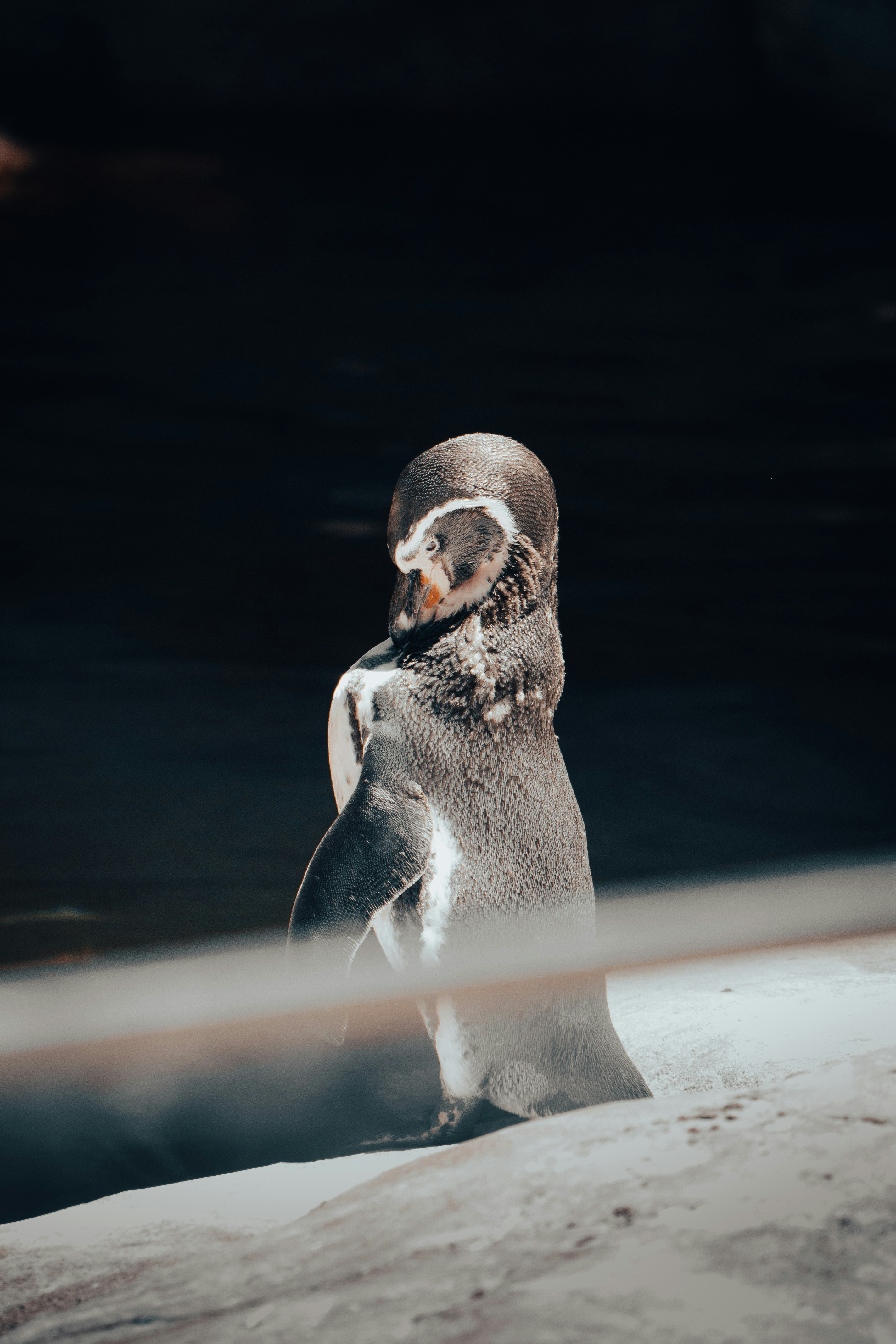 Photo by Sam McCool with Canon EOS 1100D