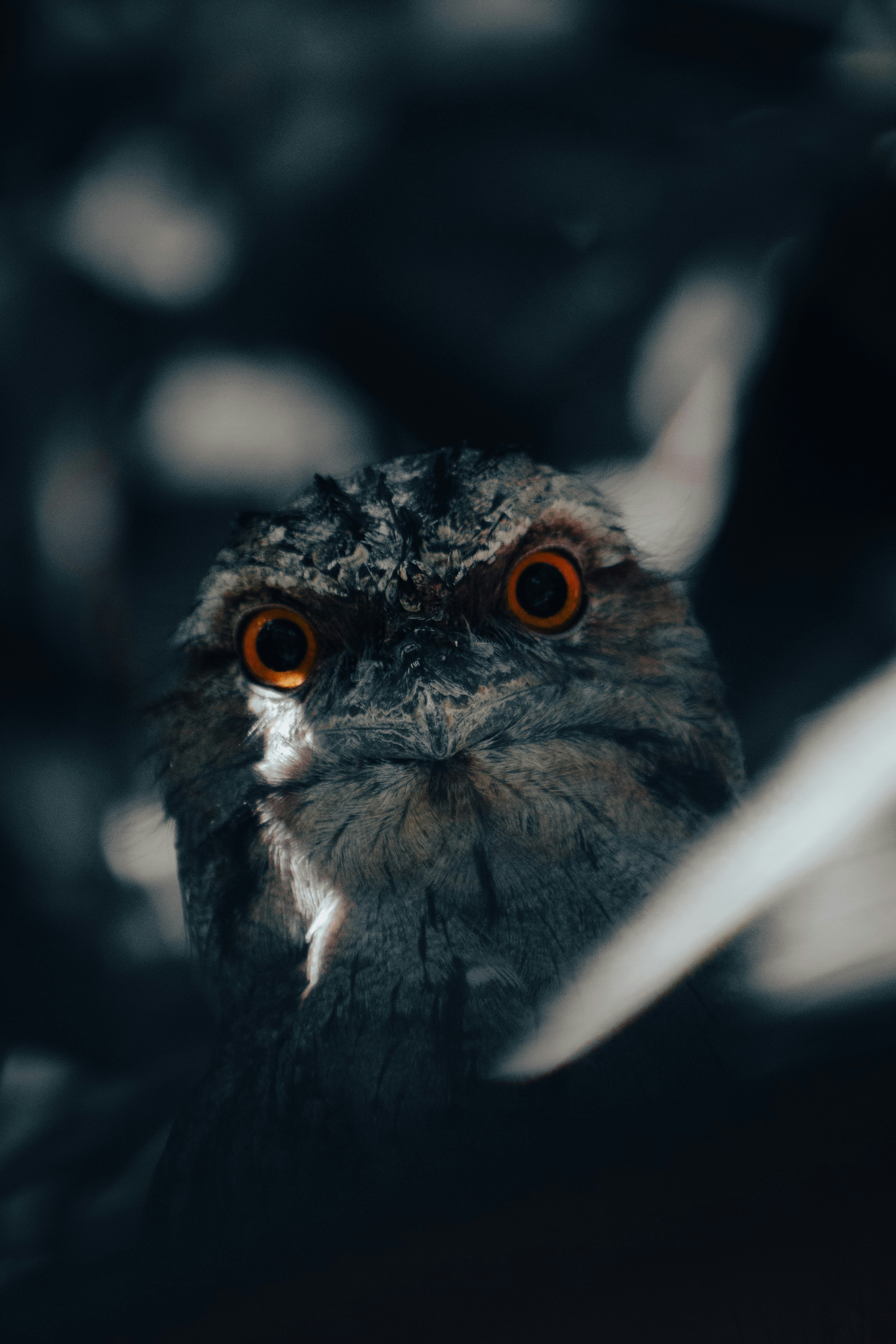 Sam McCool (@sam_mccool) | Communauté photos Unsplash