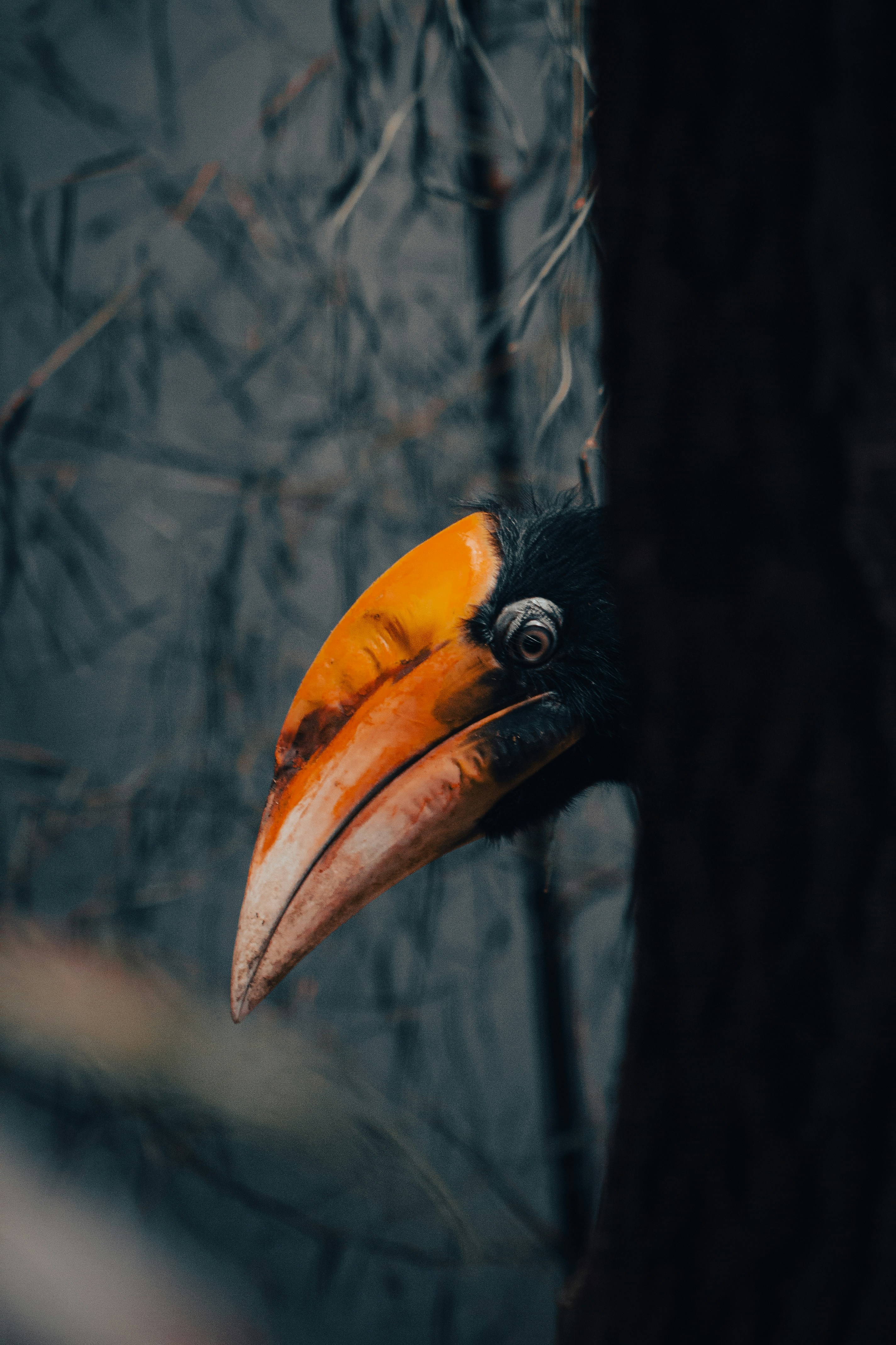 Photo by Sam McCool with Canon EOS 1100D