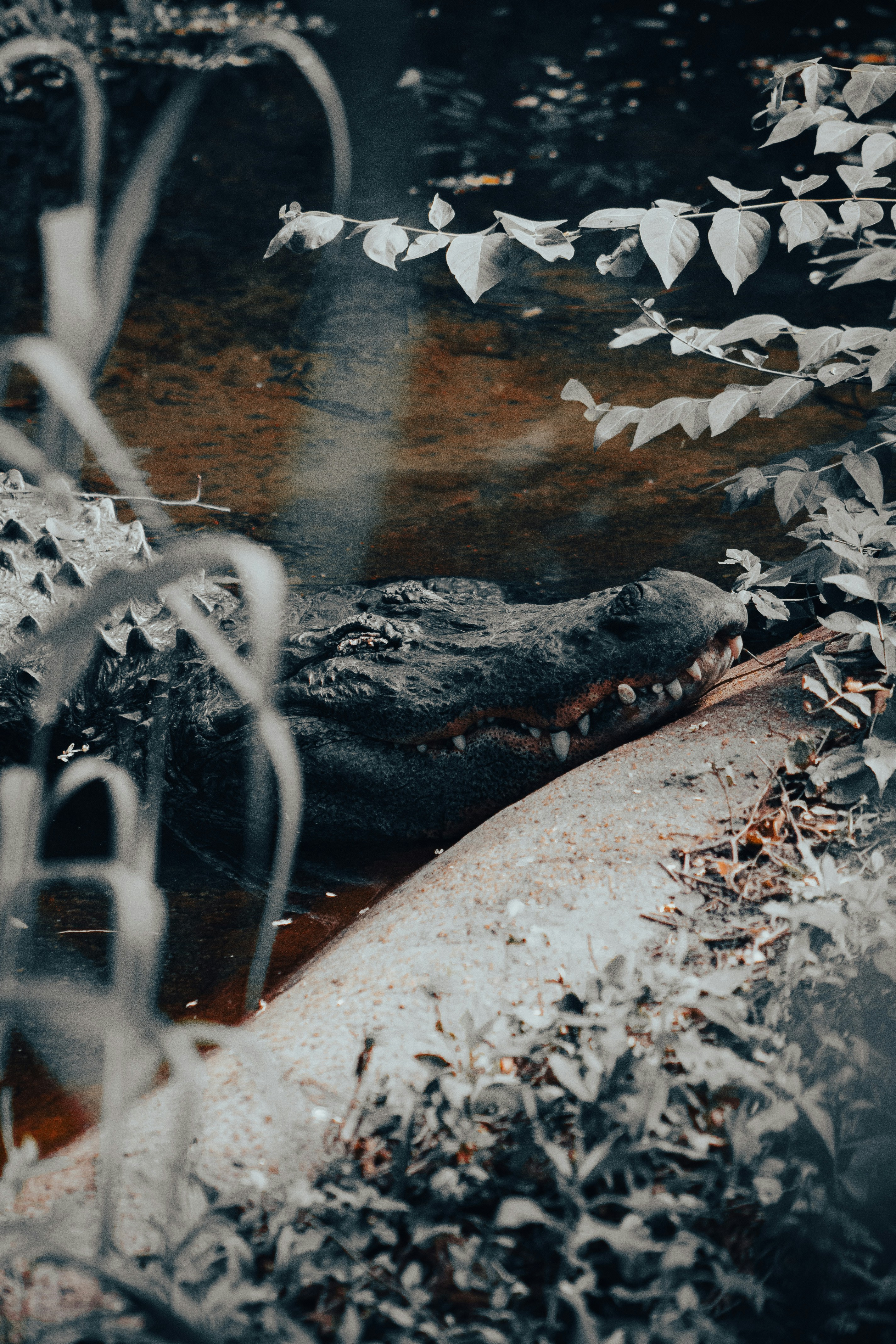 Sam McCool (@sam_mccool) | Communauté photos Unsplash