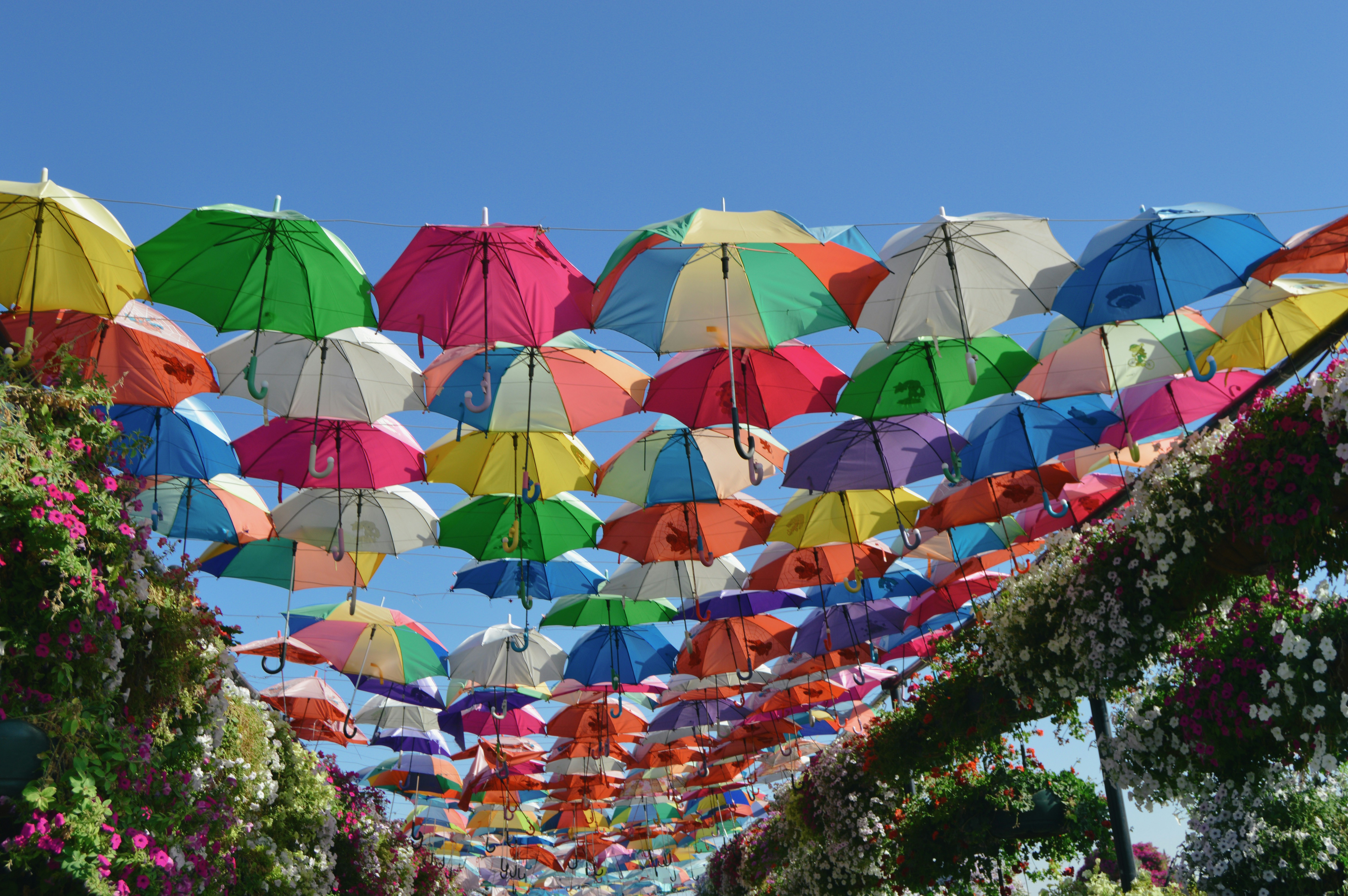 A bunch of colorful umbrellas hanging in the air photo – Free Miracle ...