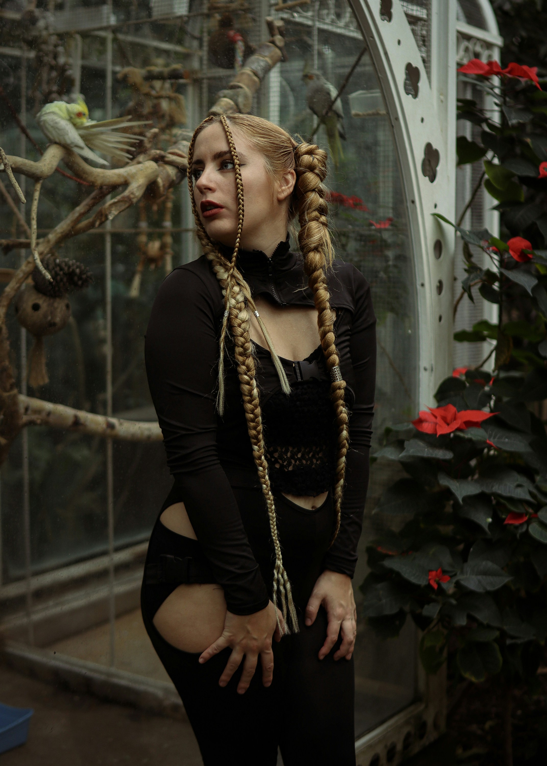 Braided Reverie in a Glasshouse