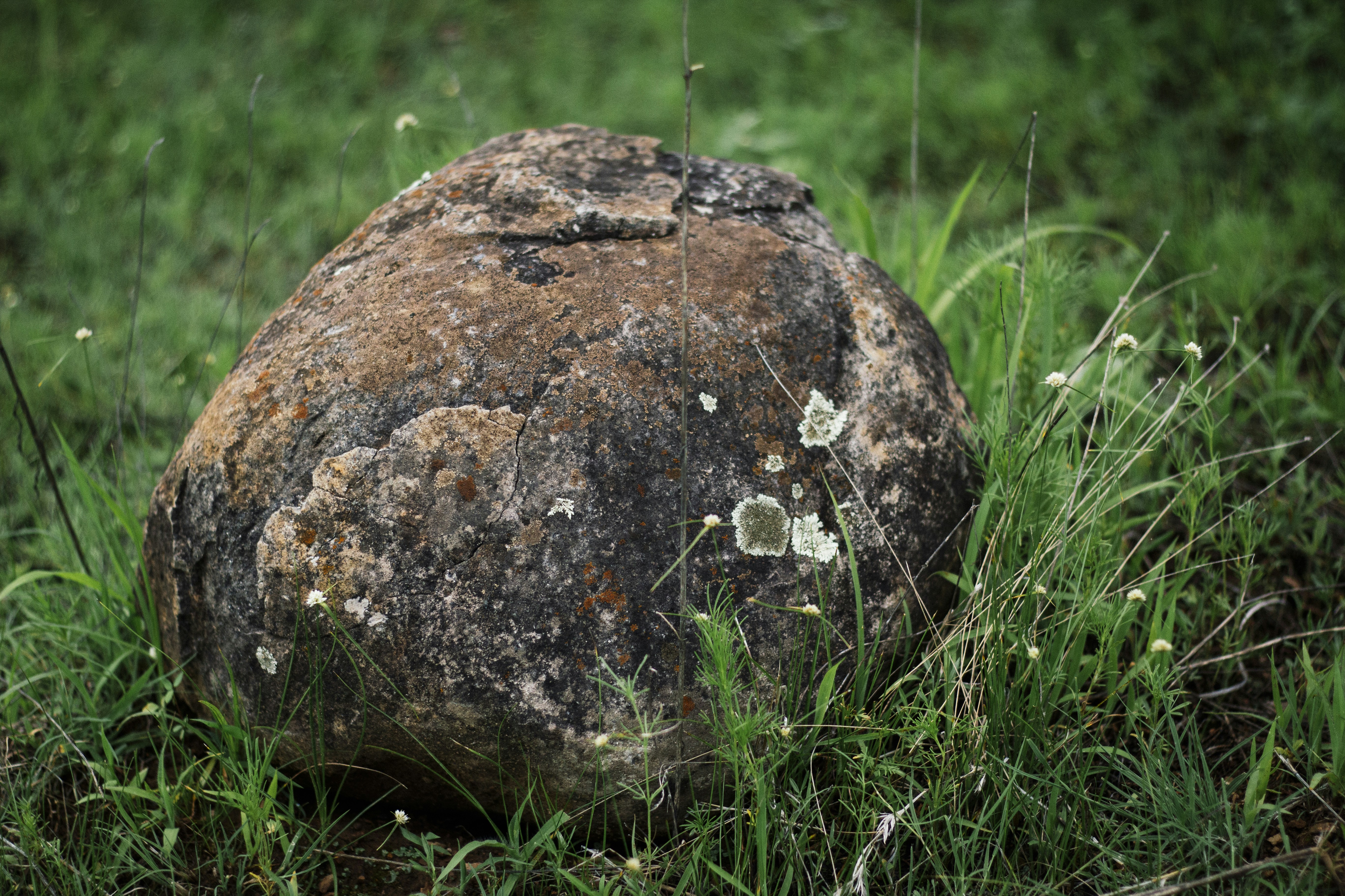 Photo by Adolfo Félix with Canon EOS 70D