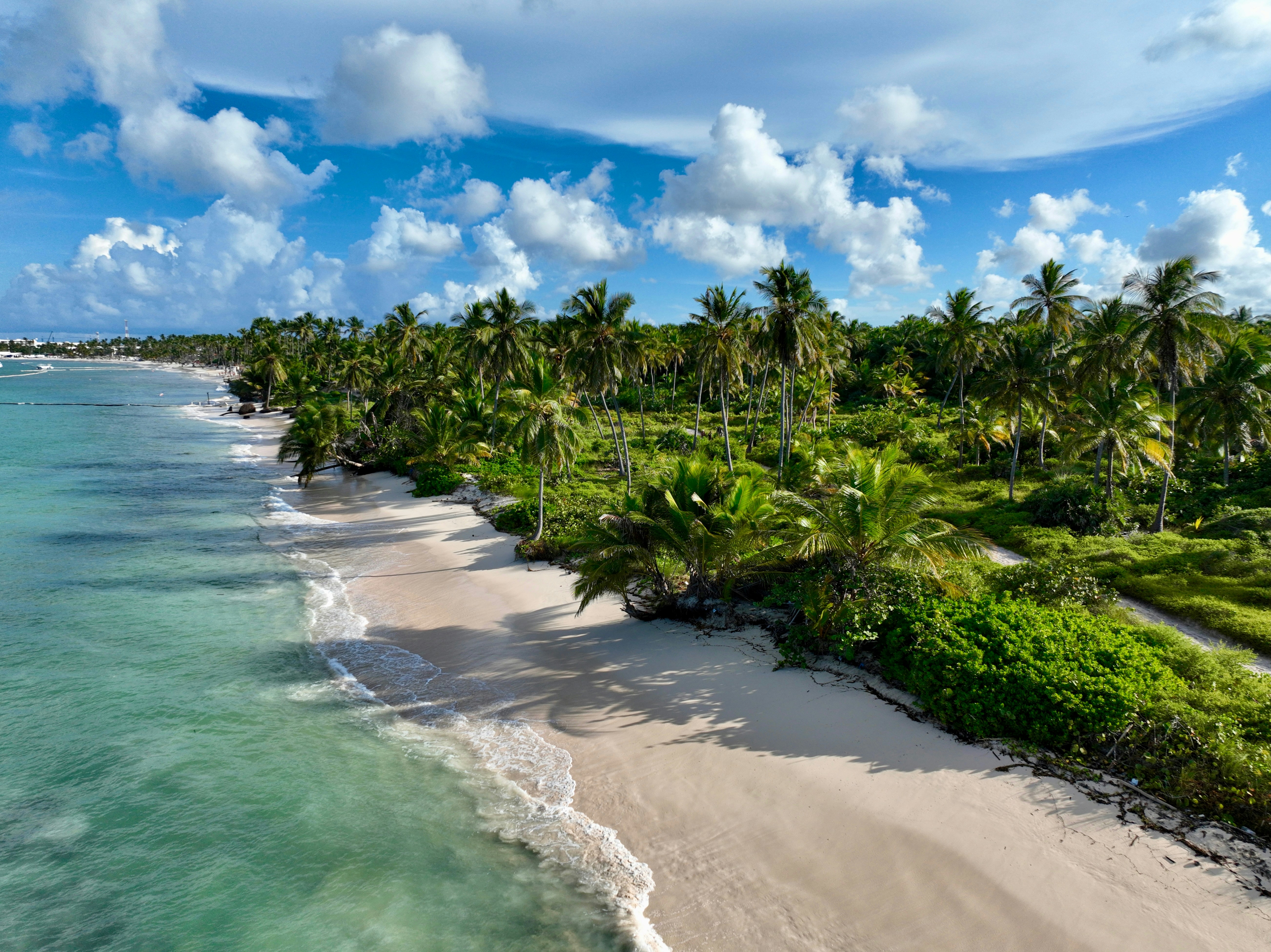 Lush palm trees line a pristine beach, meeting turquoise waters under a vibrant sky. The scene captures the essence of a tranquil tropical getaway.