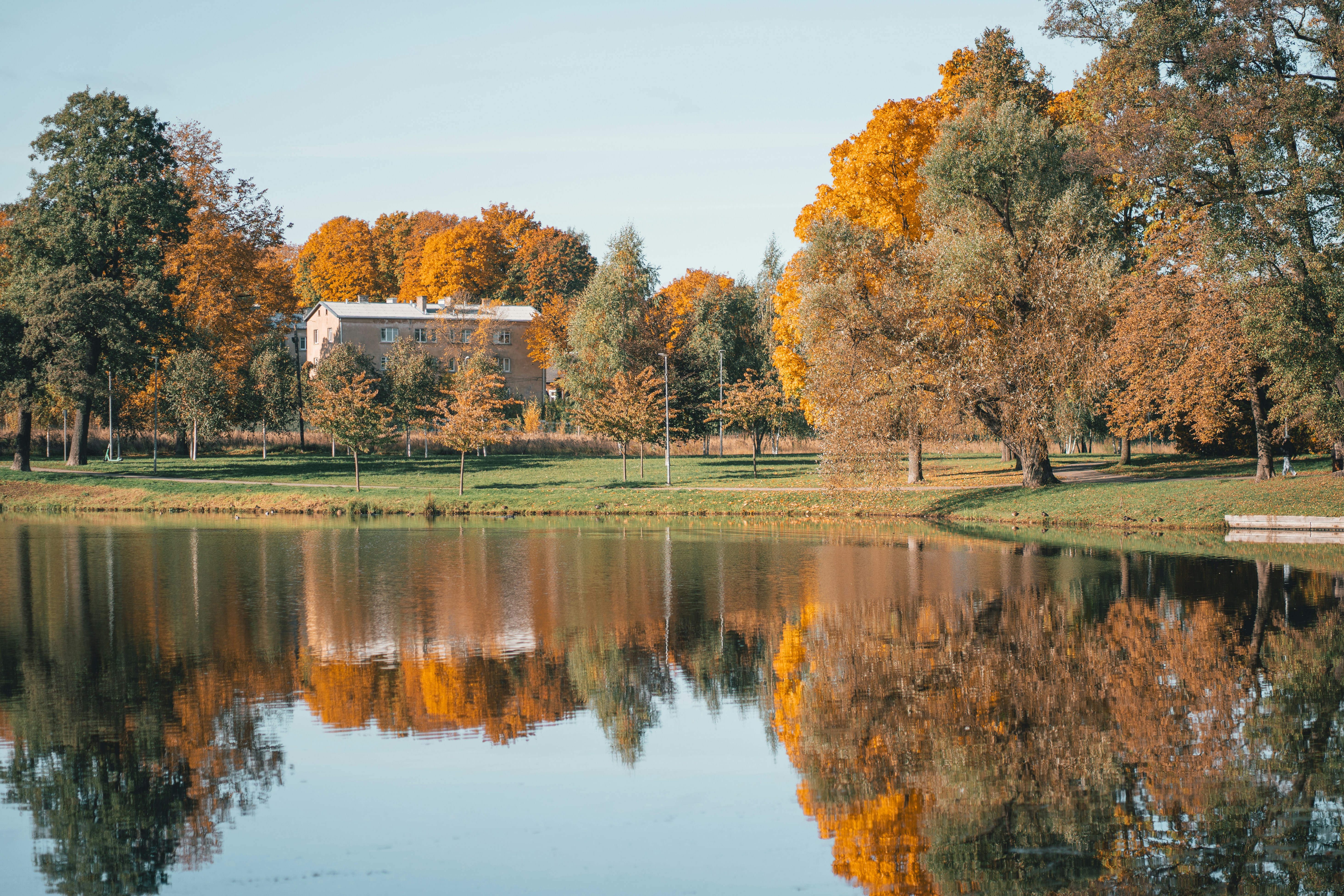 Tranquil lake reflecting vibrant autumn trees and a distant house under a clear sky.