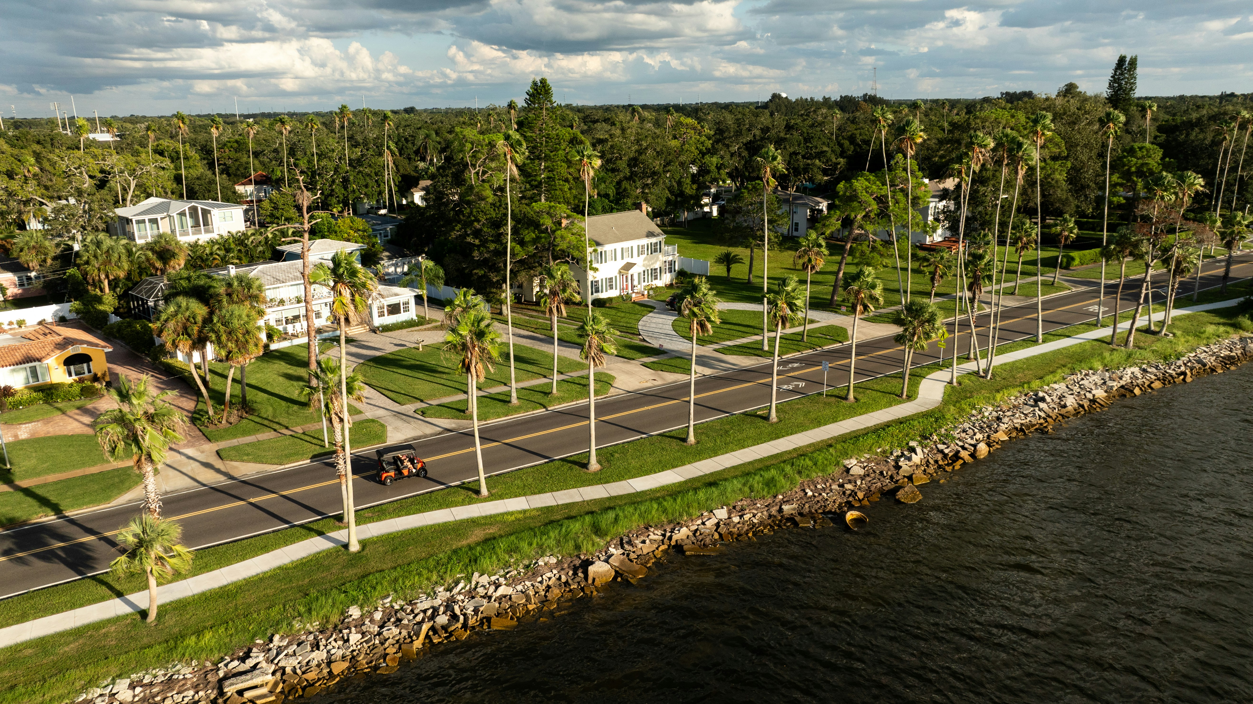 An aerial view of a street lined with palm trees photo – Free Forest ...