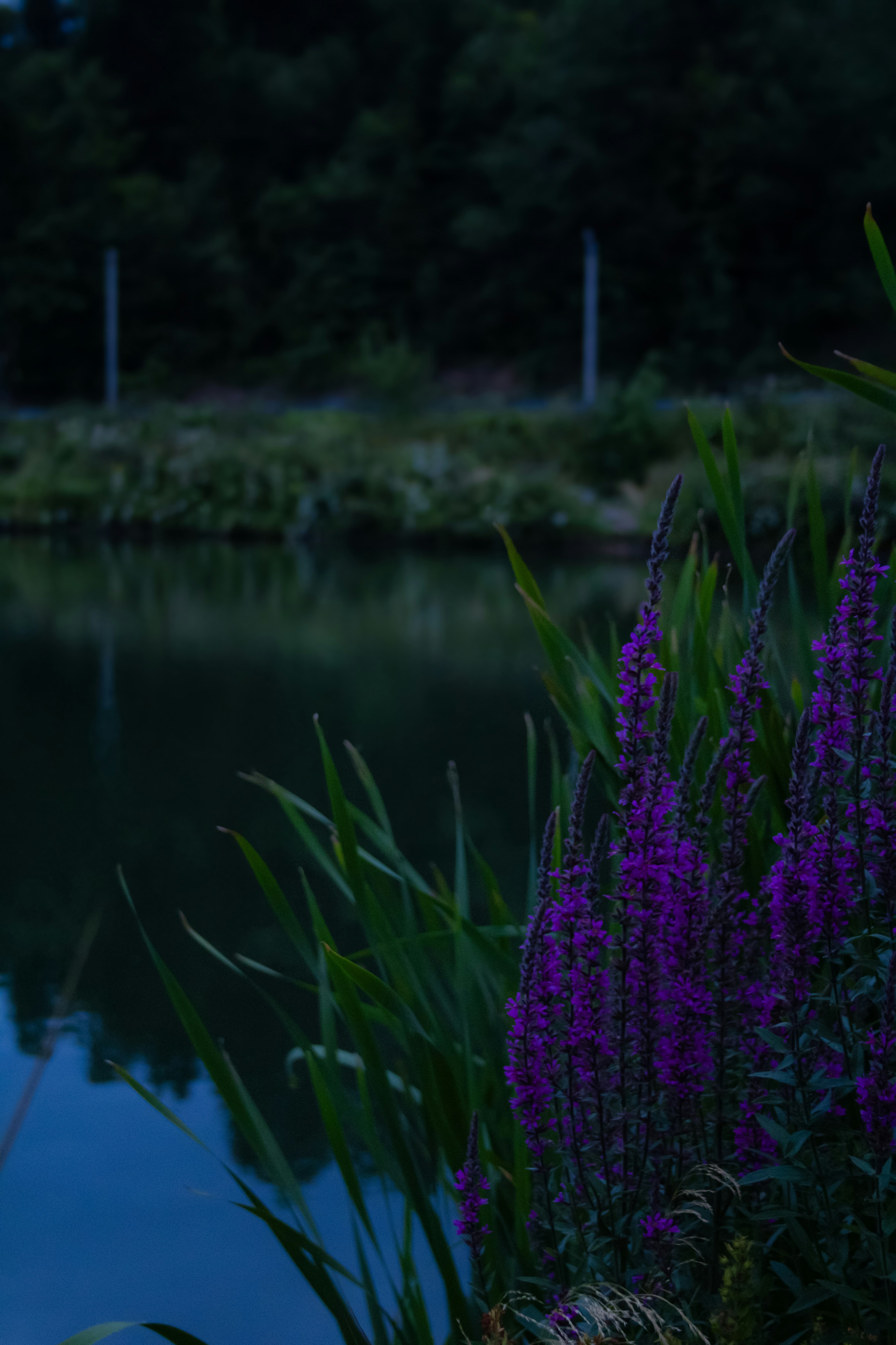 Photo by Anna Gavrilova with Canon EOS 60D