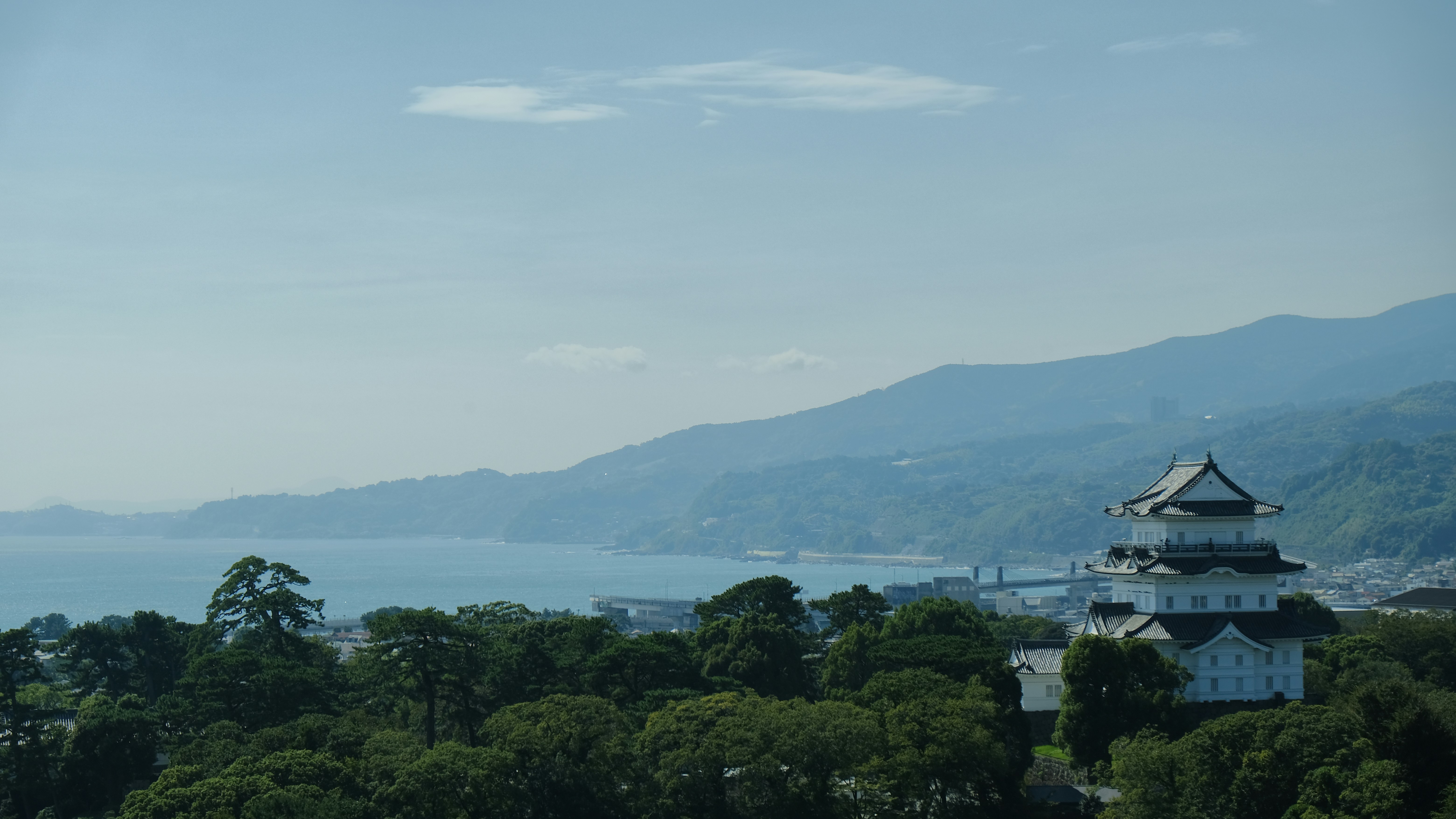 A bird flying over a lush green forest covered hillside