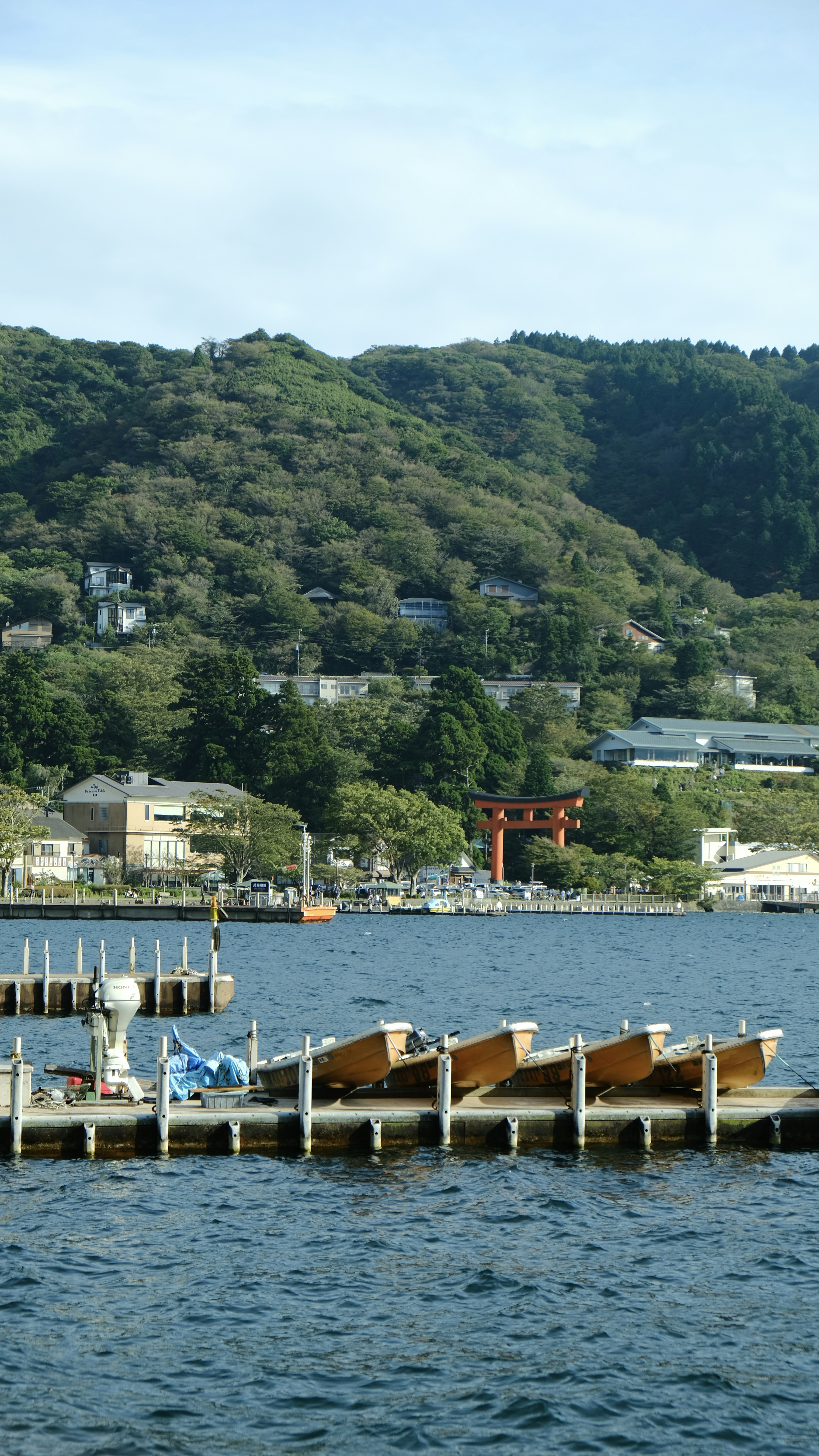 Torii by the Sea: Harbor Gate Framed by Hills