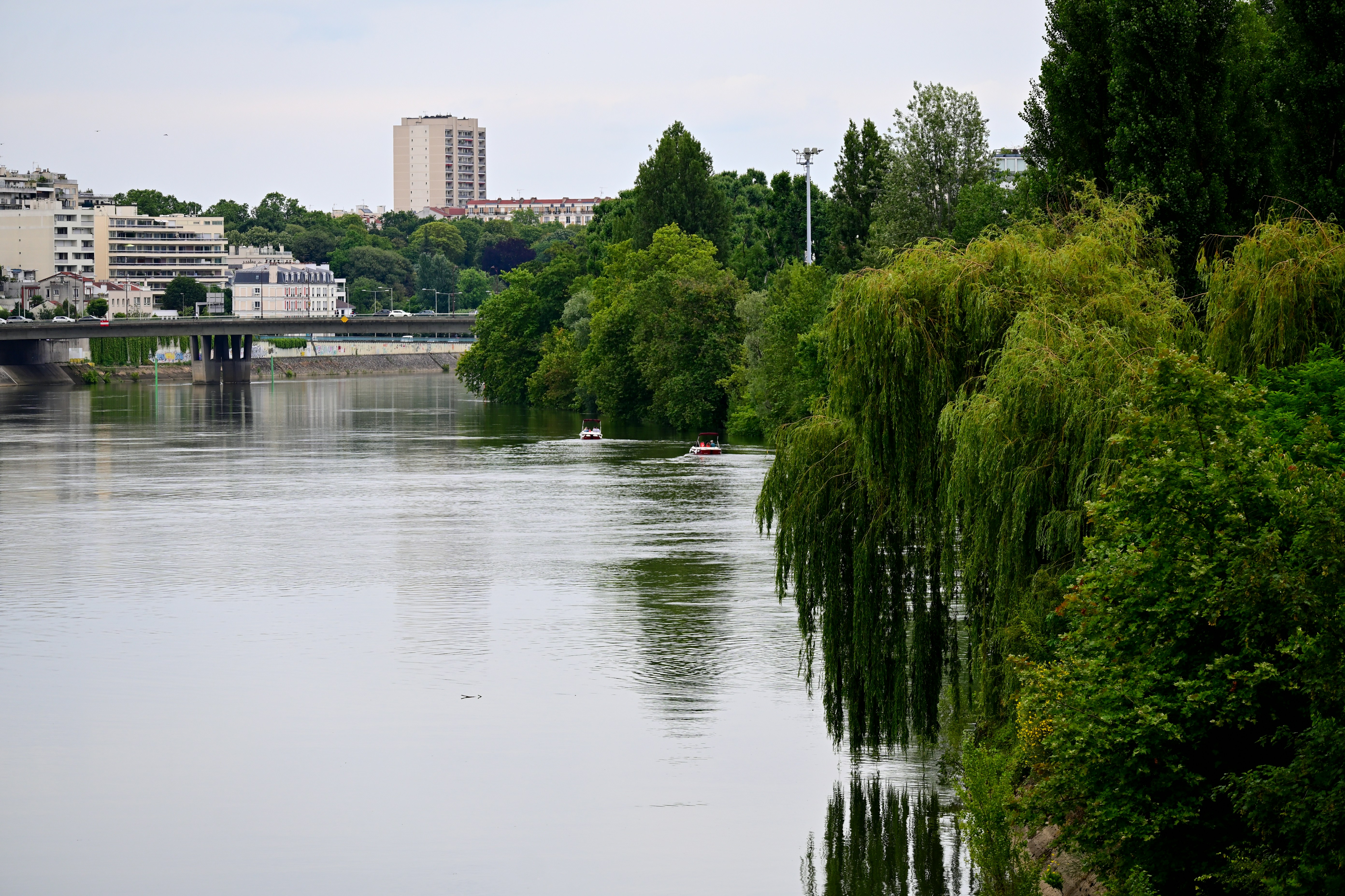 Photo by Amin Zabardast with Nikon Z30