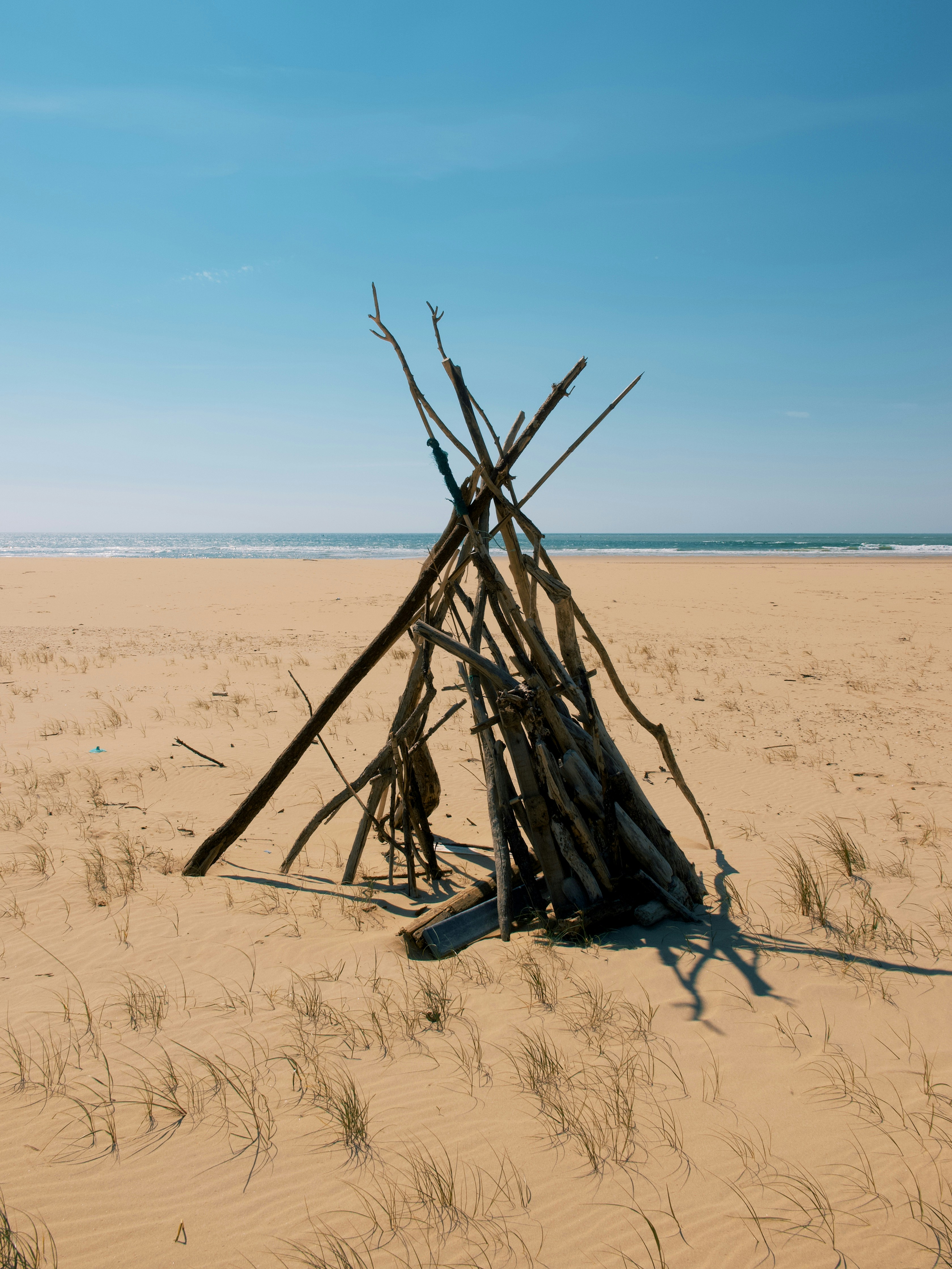 Driftwood Teepee: A Minimalist Sentinel on the Quiet Beach